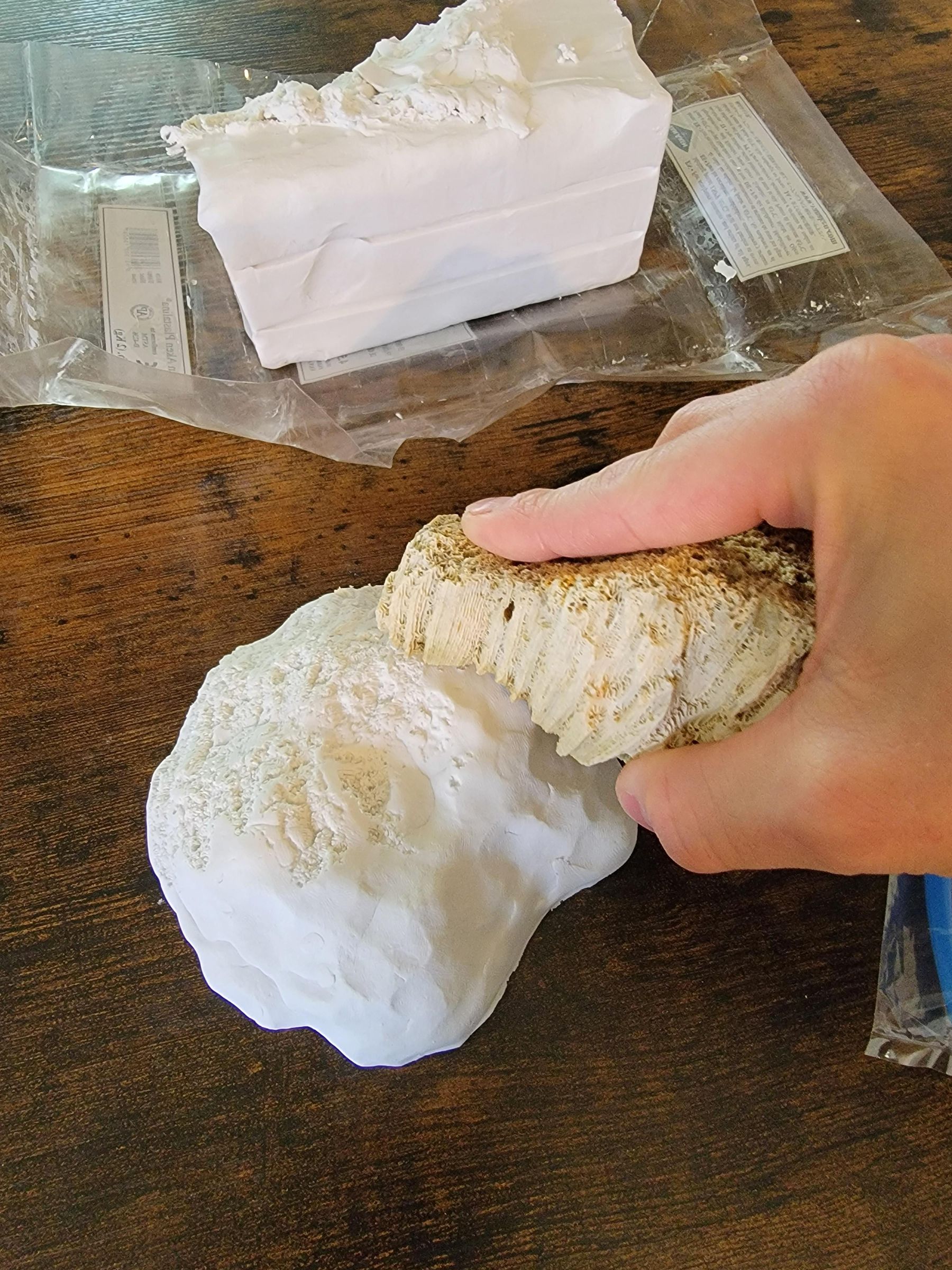 Magnetic Naturalistic Frag Rack : 6 Steps (with Pictures) - Instructables