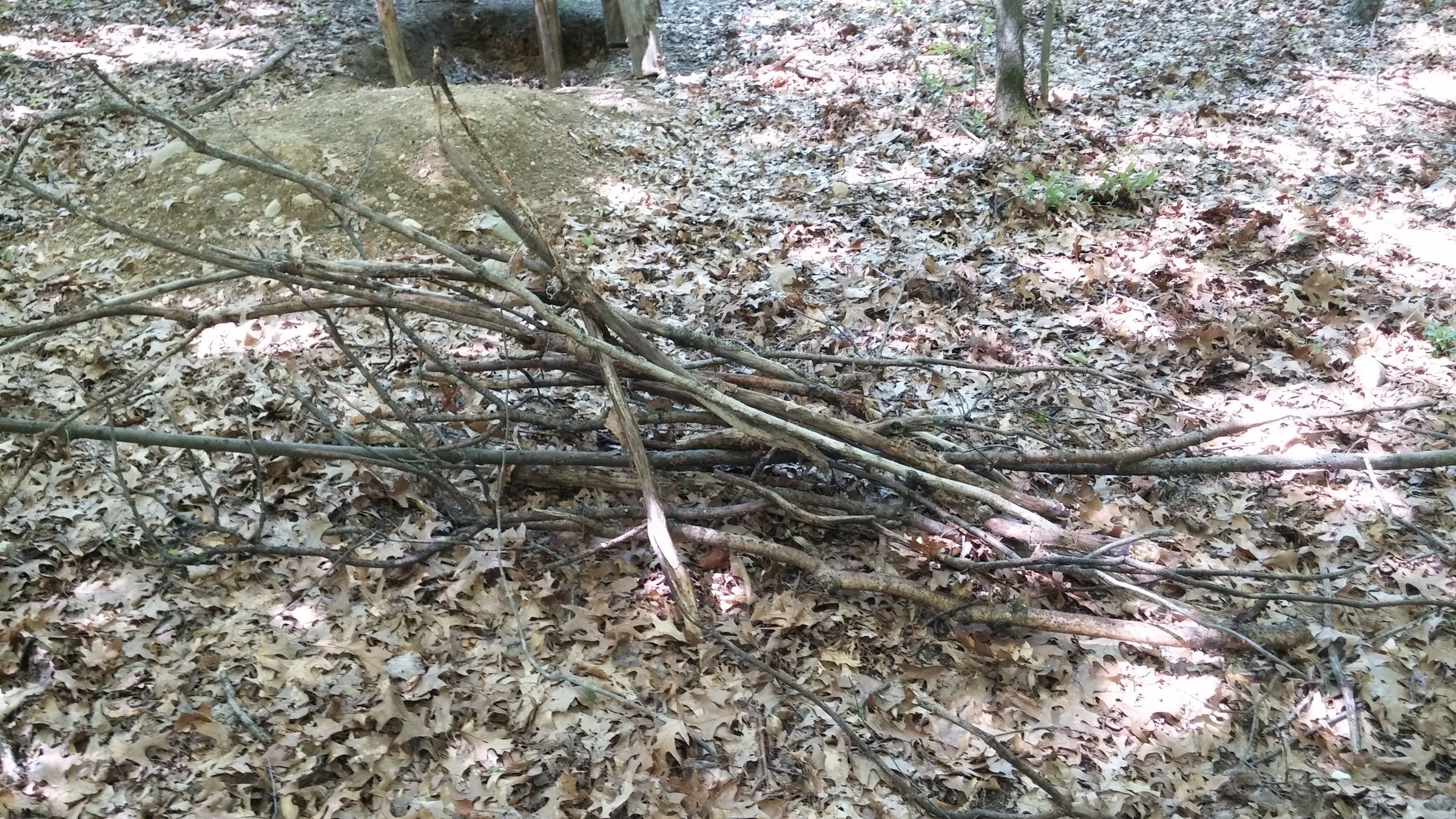 Leaf and Stick Fort : 4 Steps - Instructables