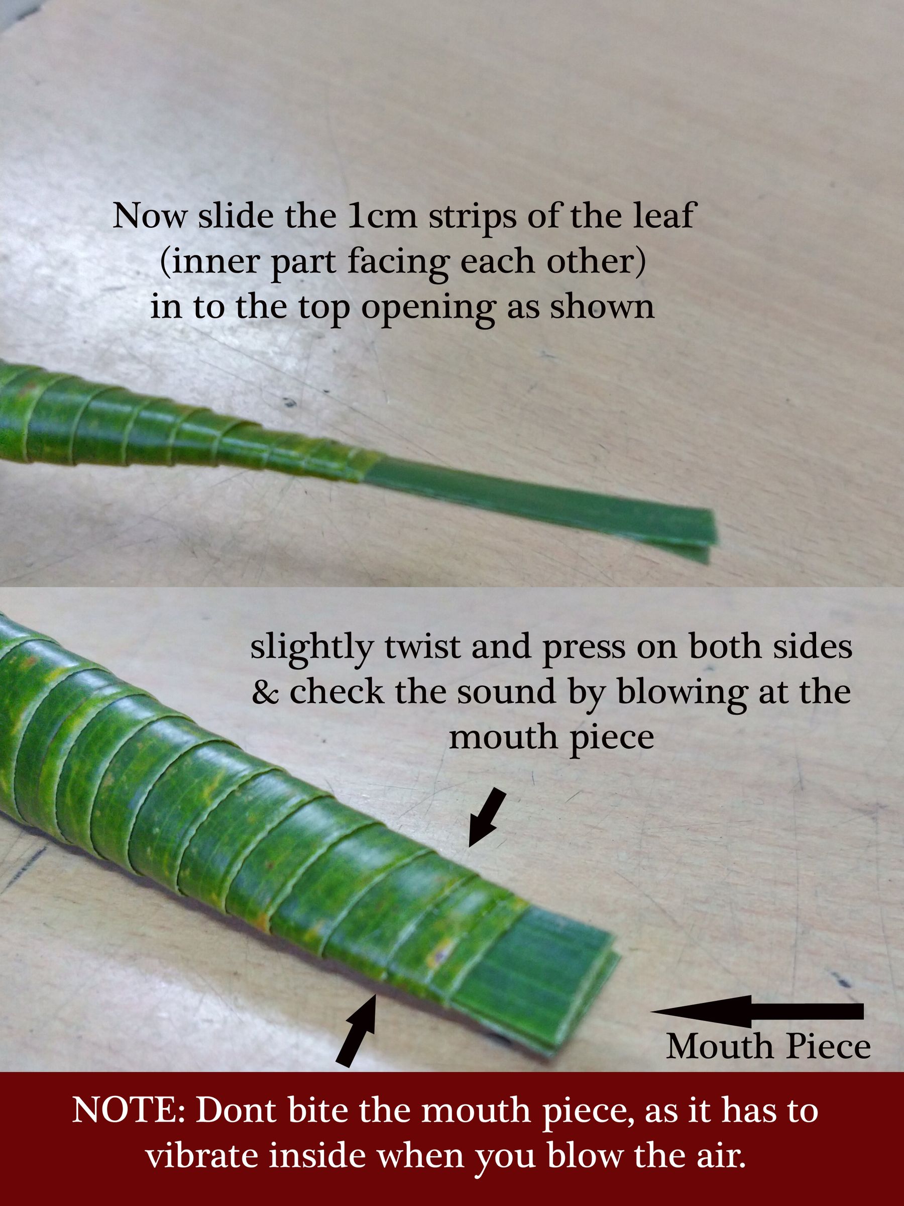 Coconut Leaf Whistle Instrument : 6 Steps - Instructables