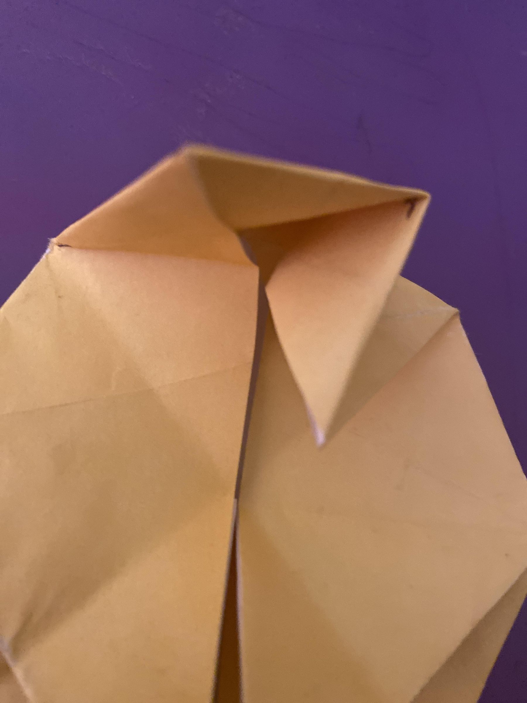 Origami Rat : 27 Steps - Instructables