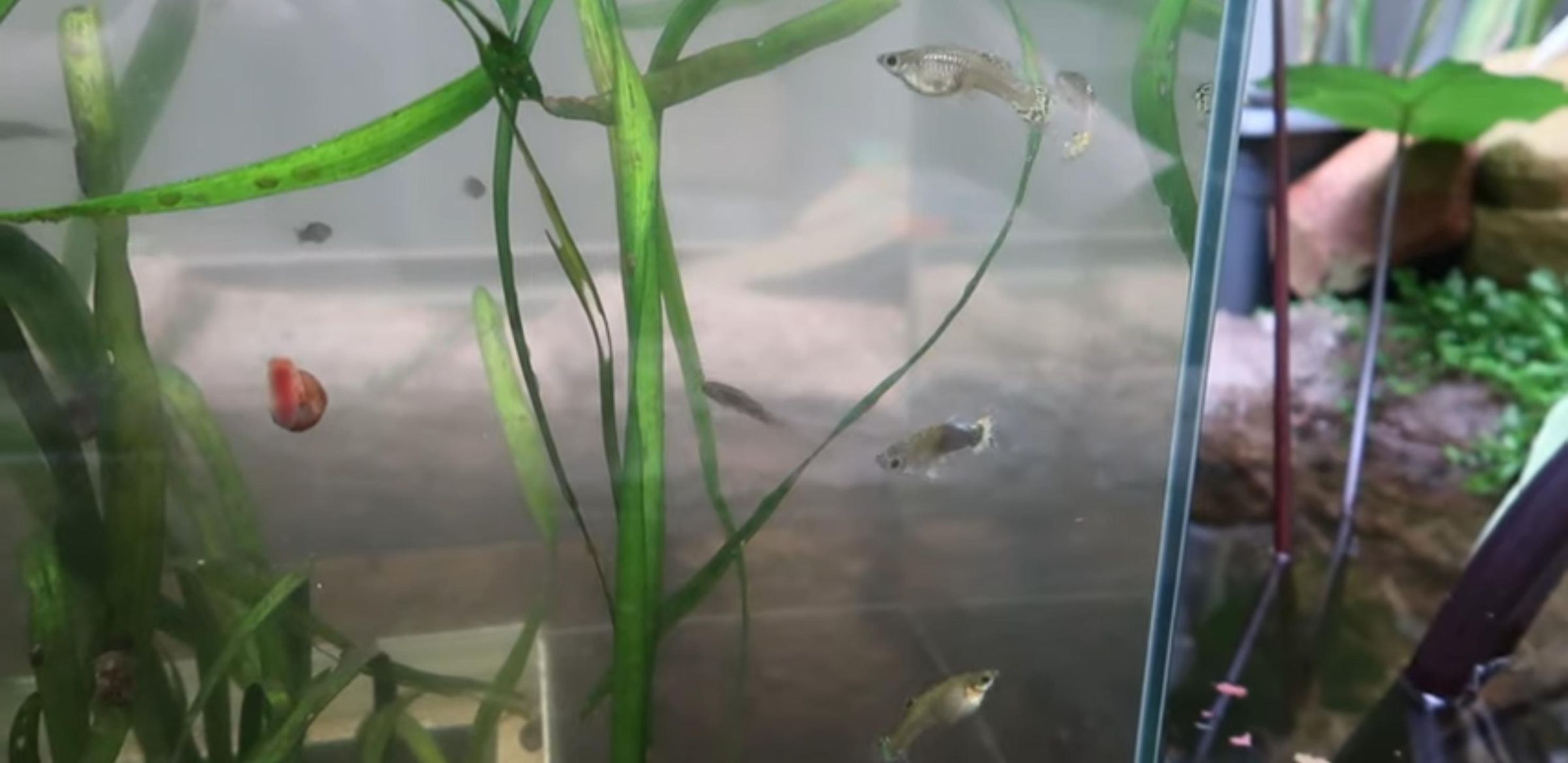 Inverted Fish Tank Tower : 5 Steps (with Pictures) - Instructables