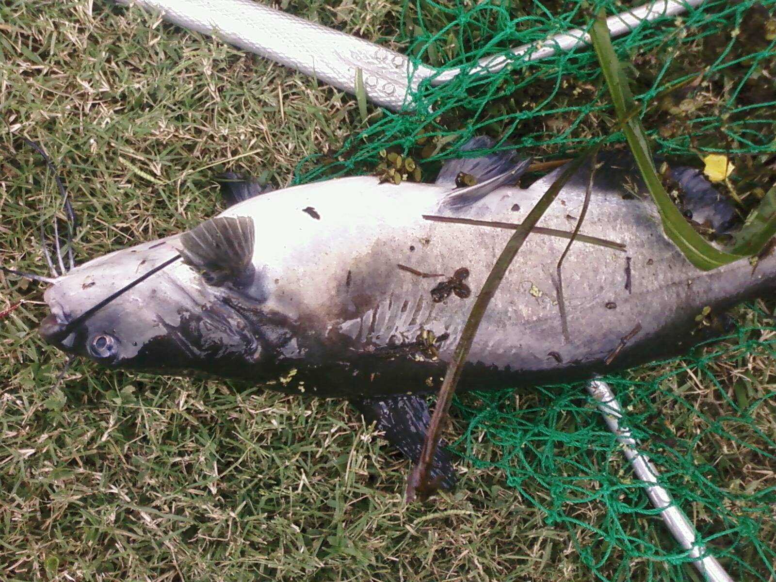 How to Fish? : 4 Steps - Instructables