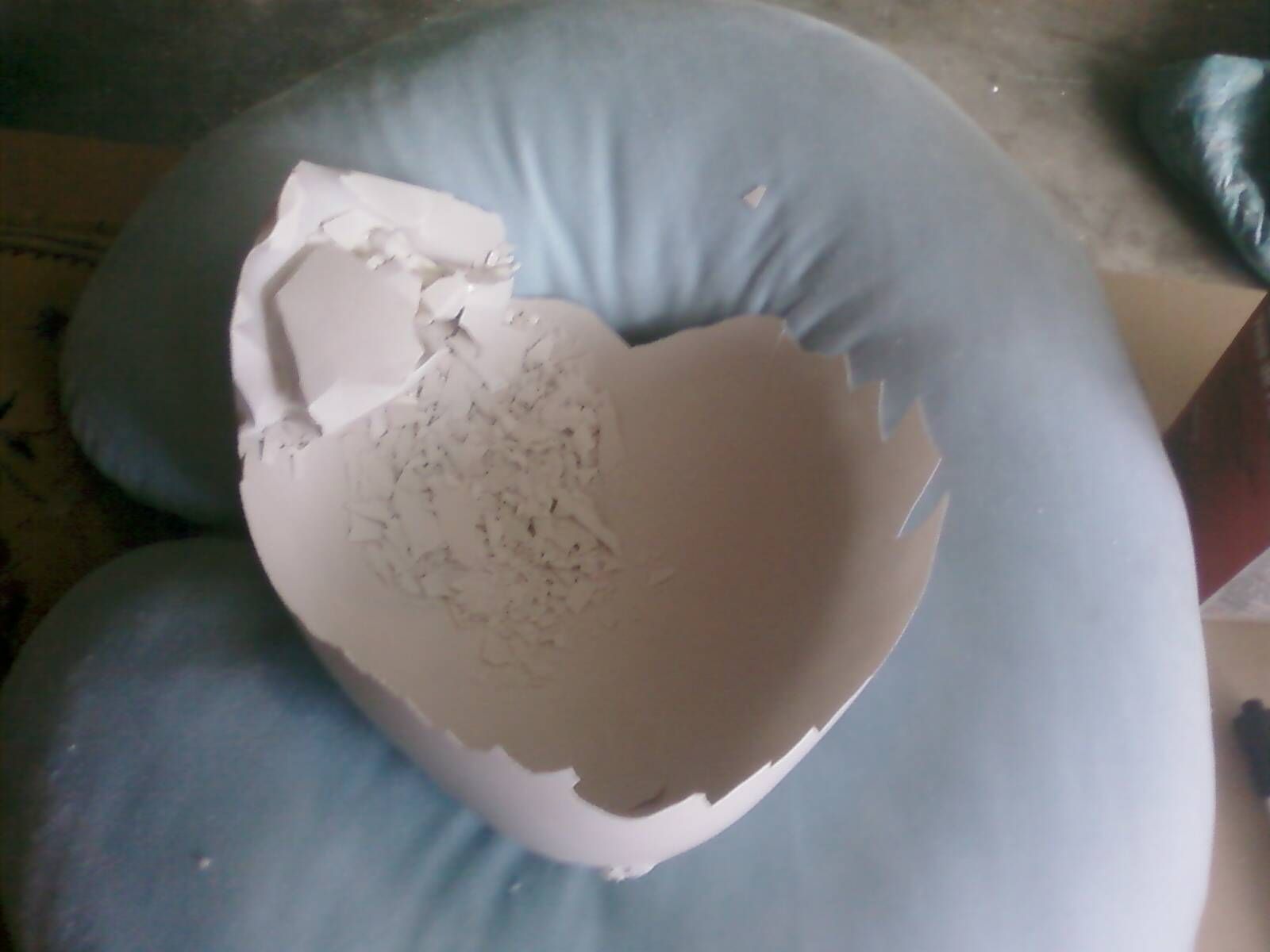 Giant Plaster Easter (Dinosaur) Egg : 9 Steps (with Pictures ...