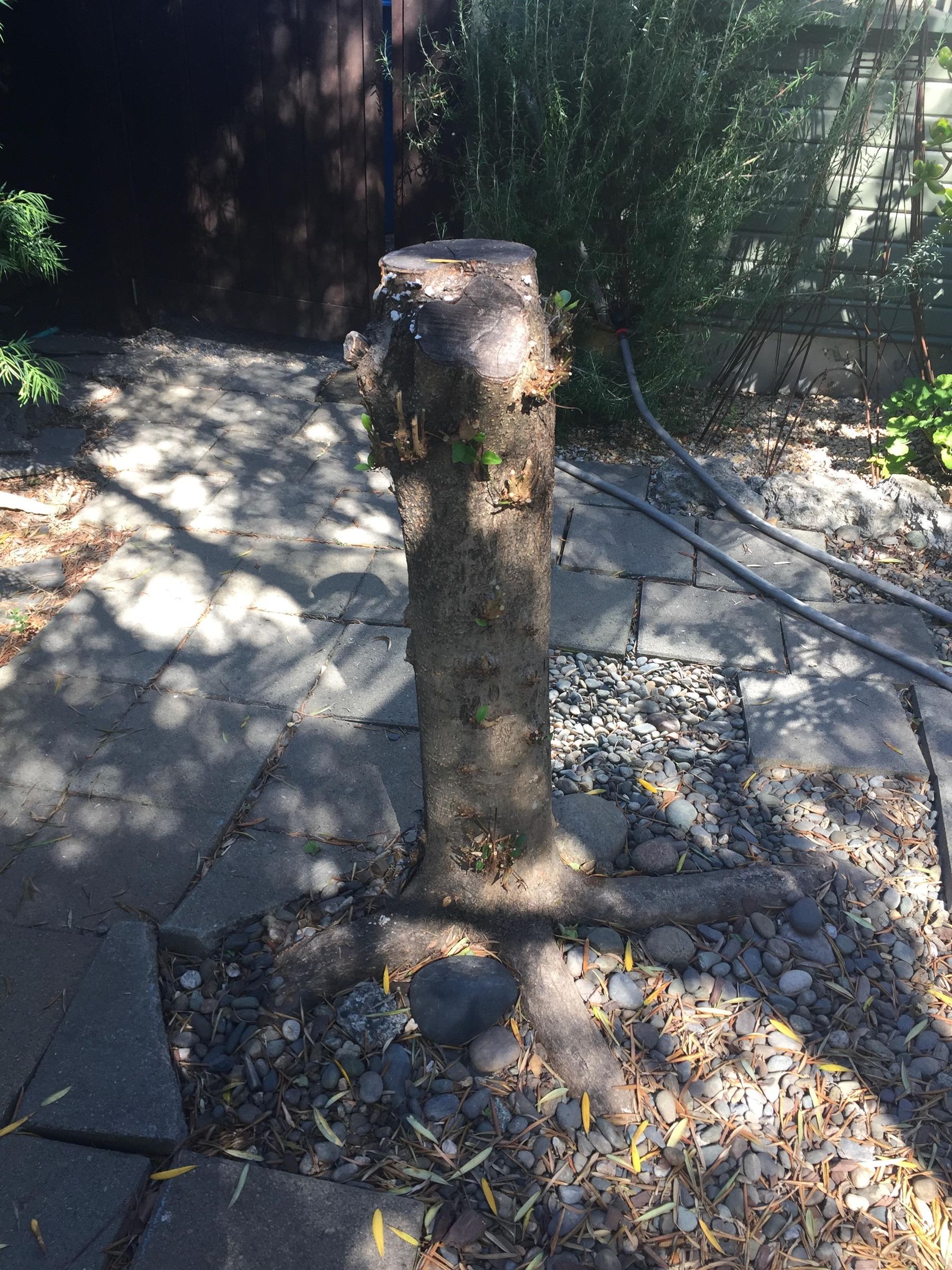 Kang From the Simpsons Yard Decoration : 7 Steps (with Pictures ...