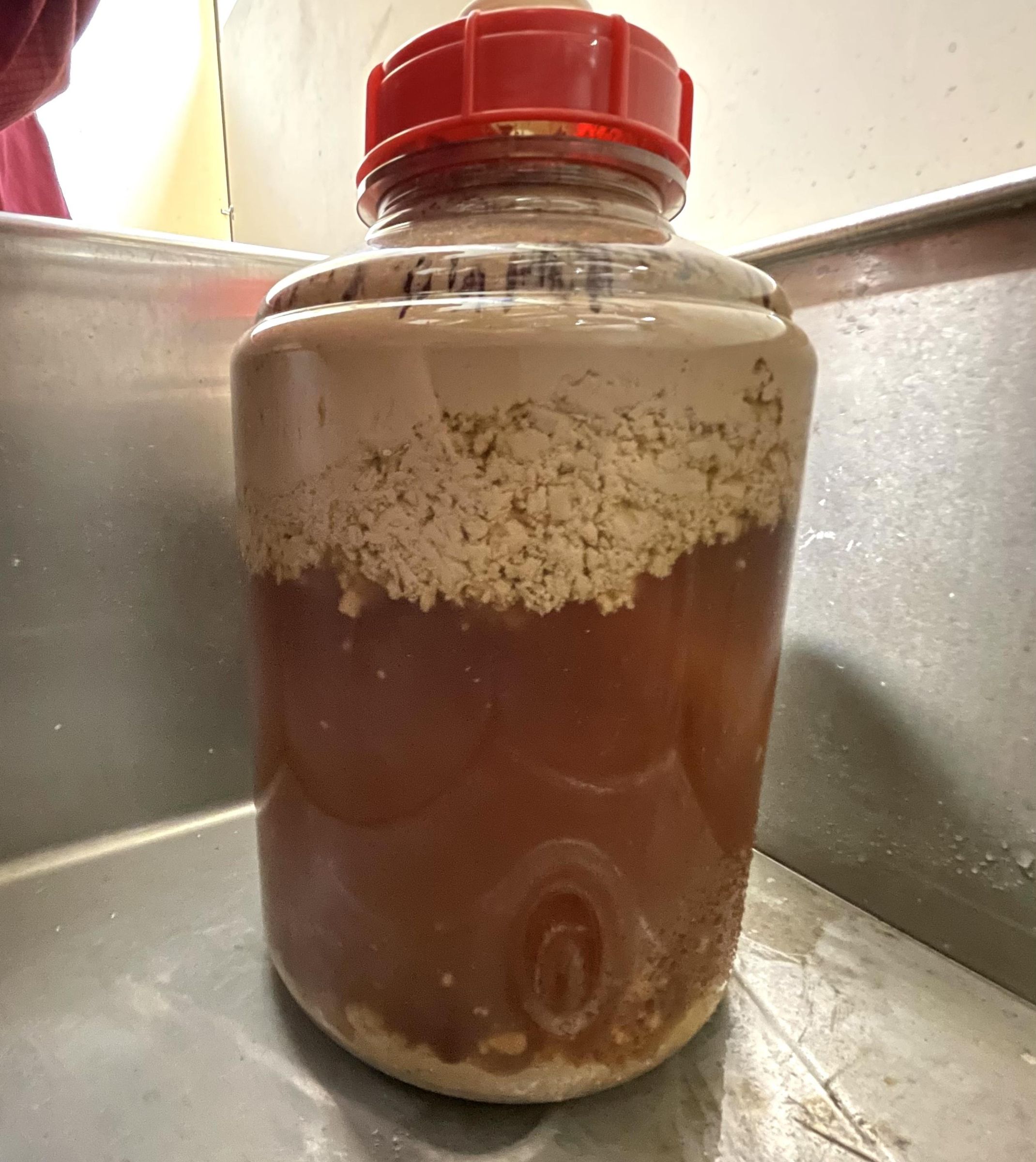 Make Fish Fertilizer and Sauerkraut : 6 Steps (with Pictures ...