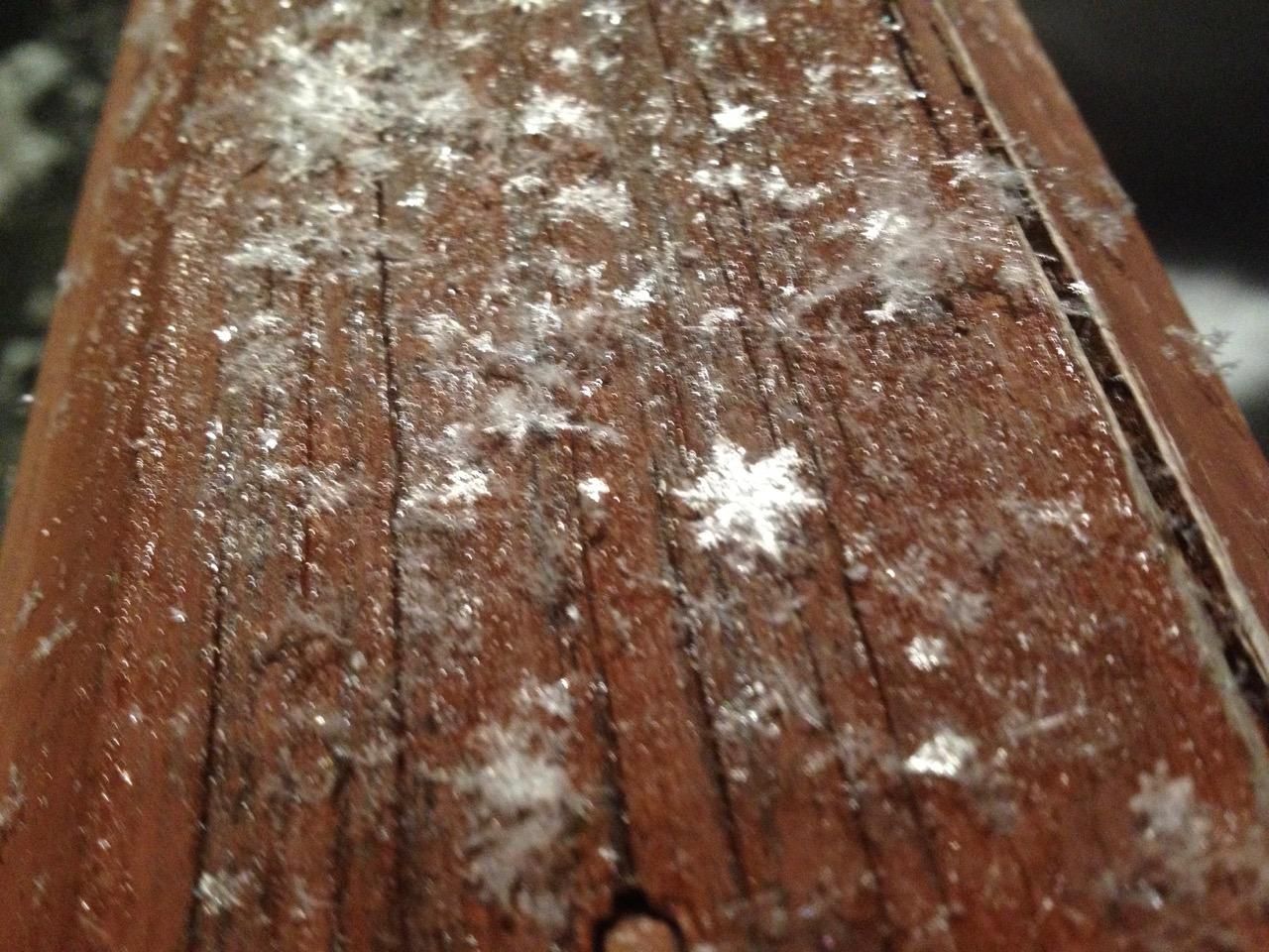 Capture Snowflakes With Photography (with Pictures) - Instructables