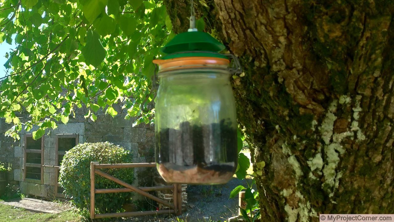 3d Printed Storage Jar Fly Trap : 6 Steps - Instructables