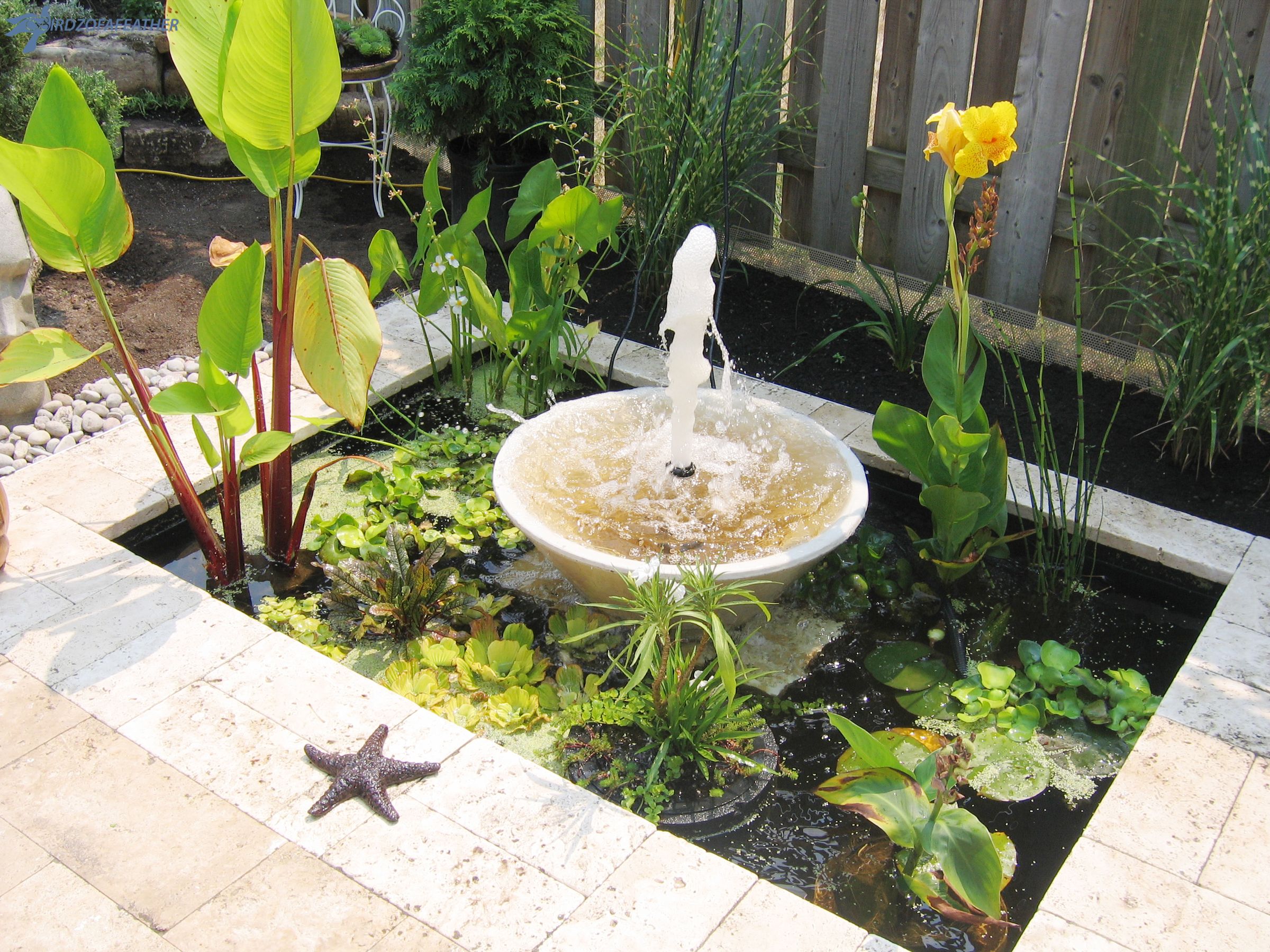 Create a Fountain That Floats on Water : 13 Steps (with Pictures ...
