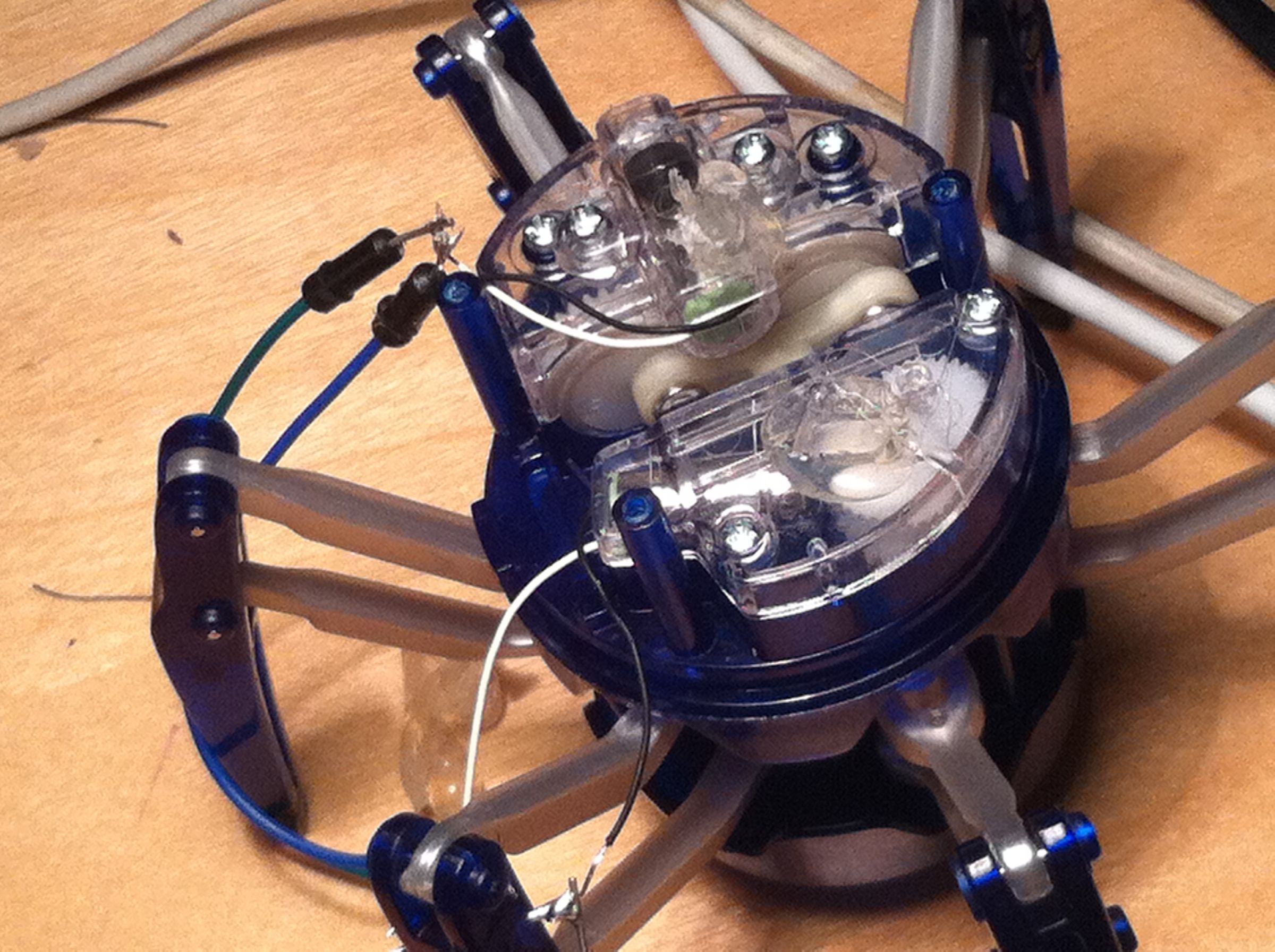 Hex Bug Spider With a Brain (autonomous Robot) : 11 Steps - Instructables