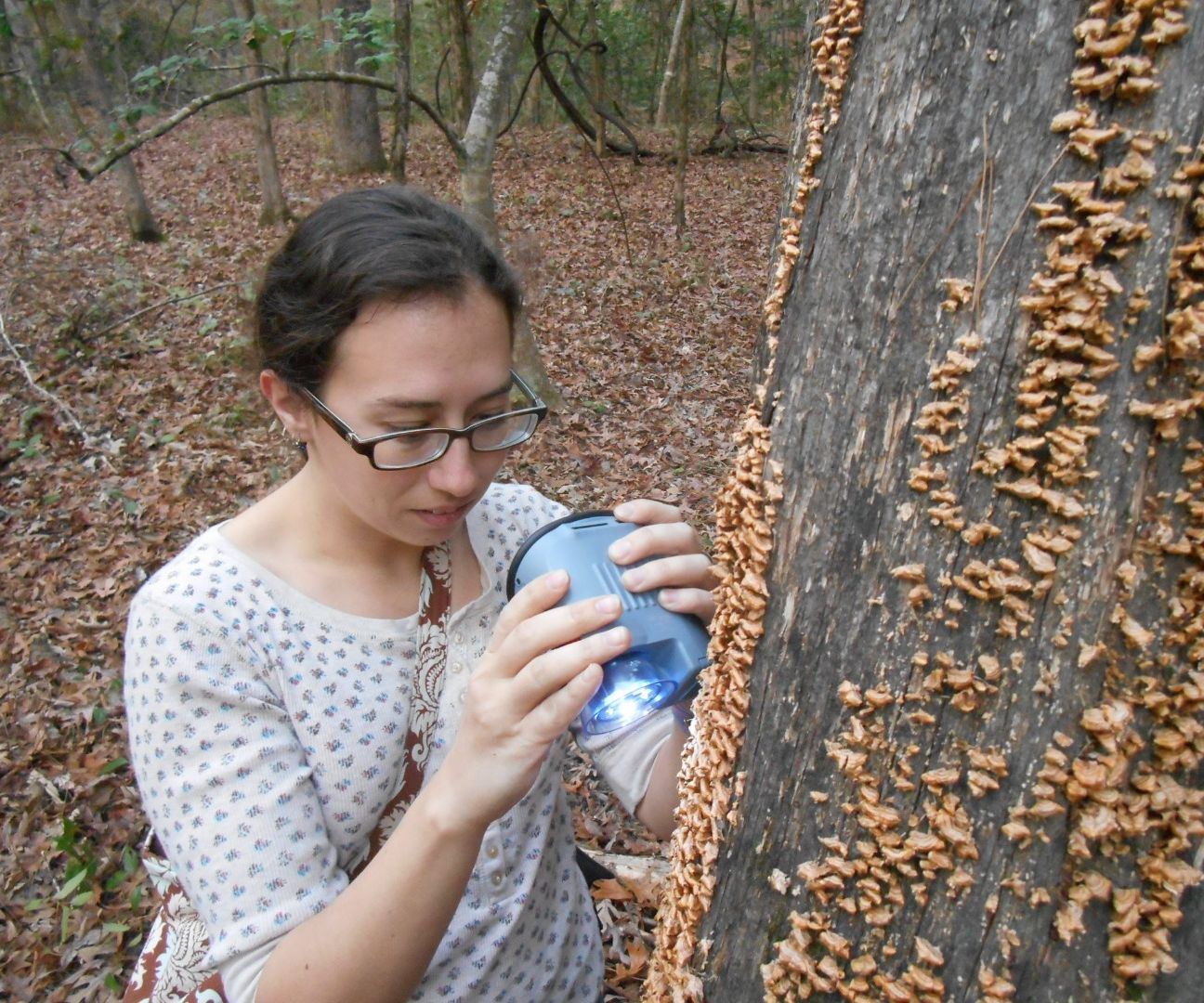A Scientist's Guide to Citizen Science : 8 Steps (with Pictures ...