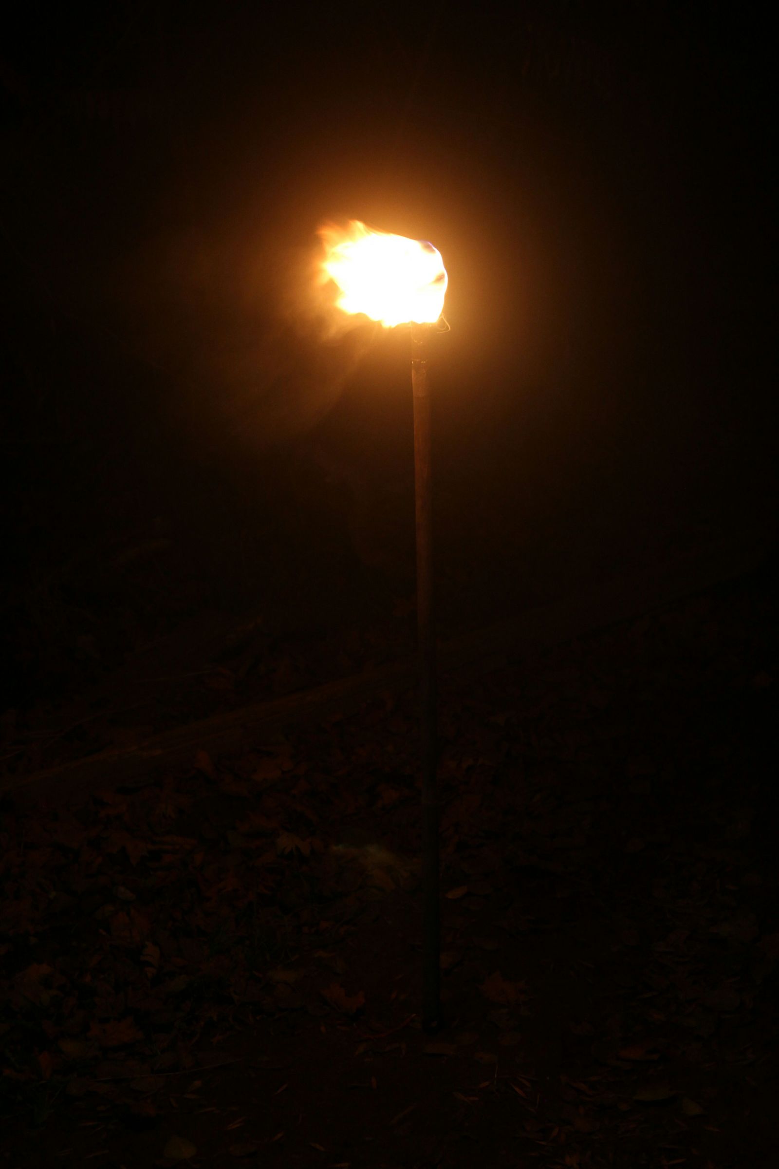 Simple Flaming Torch : 4 Steps - Instructables