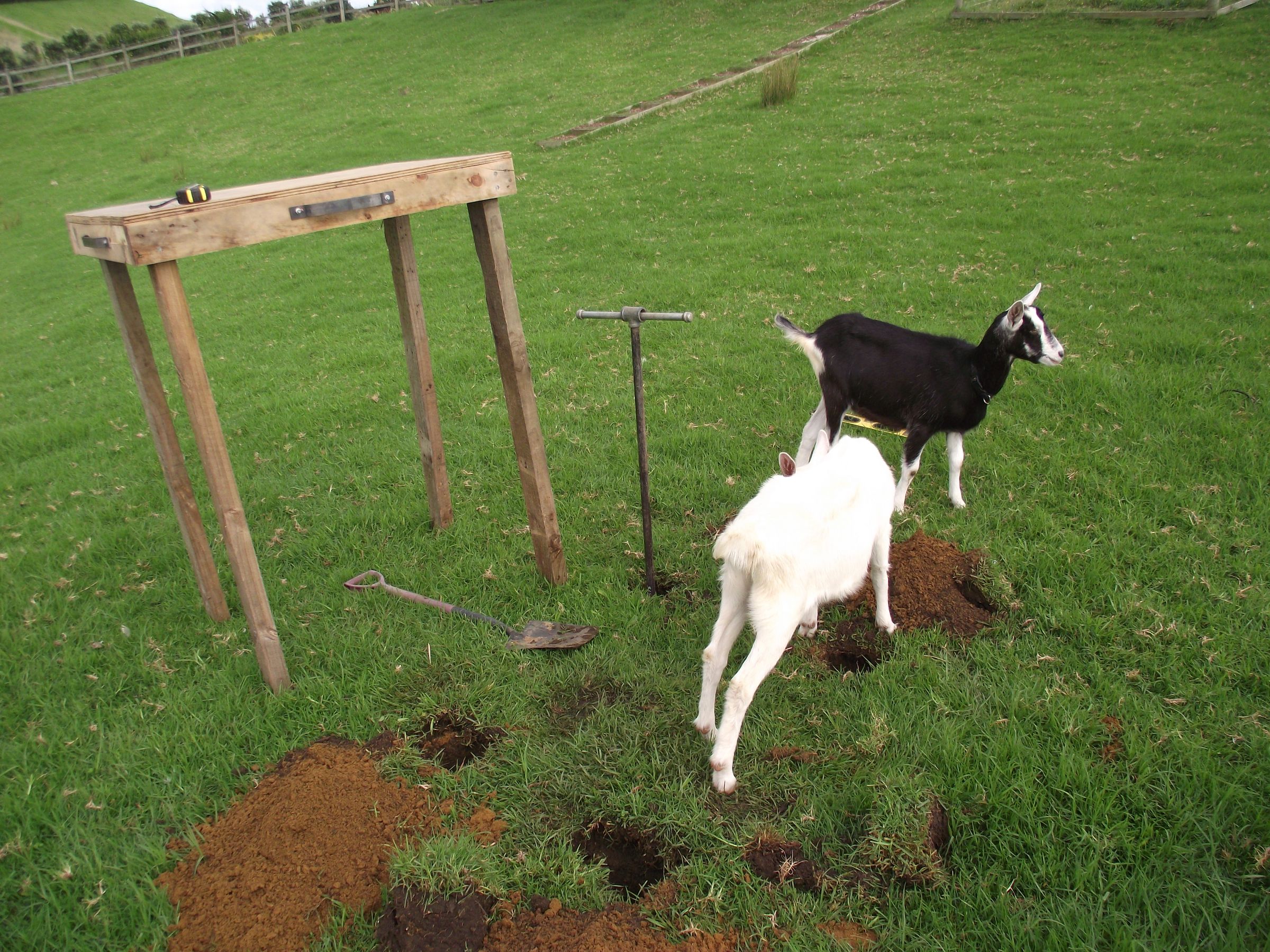 Dog Agility Table : 12 Steps (with Pictures) - Instructables