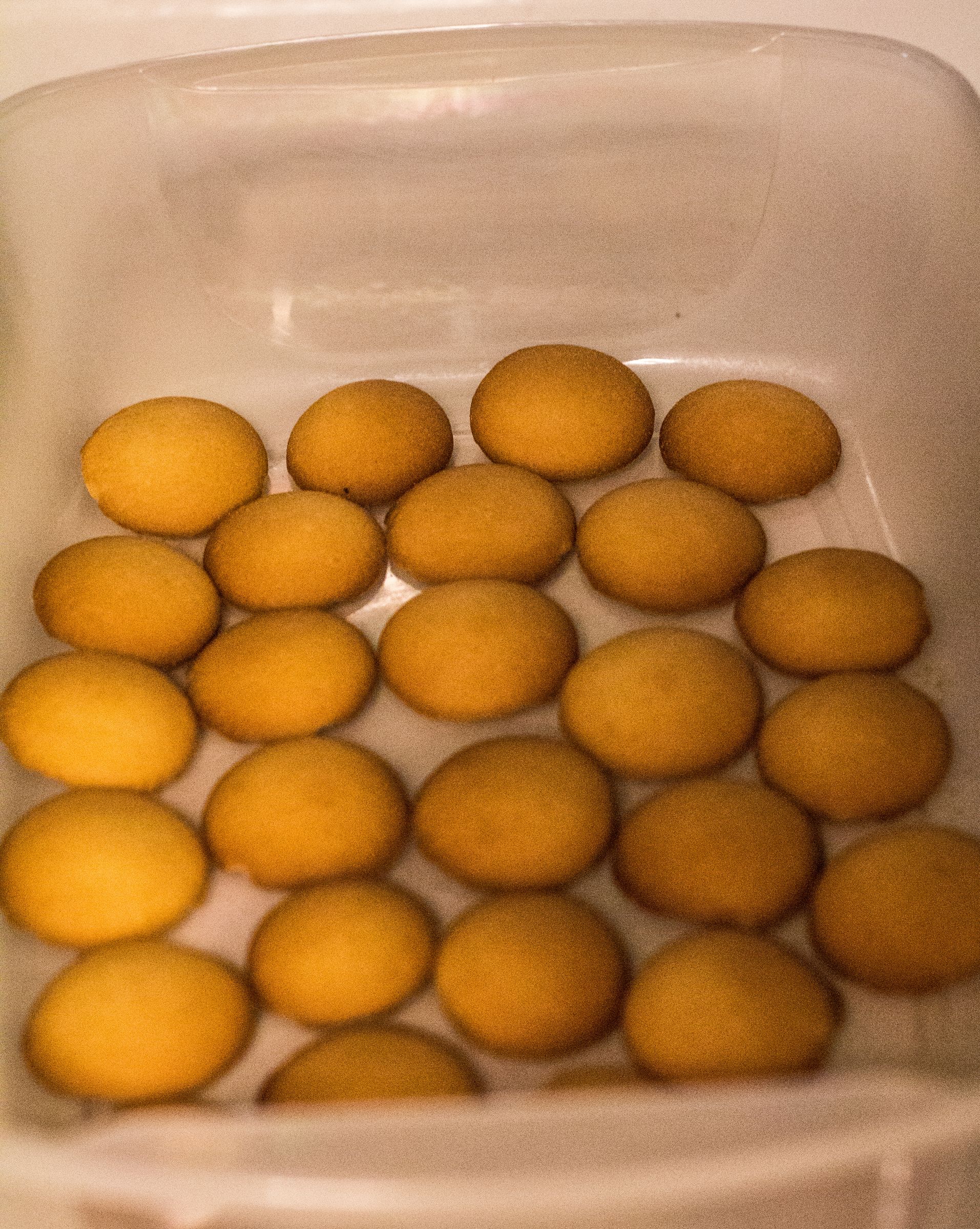 Let's Make a Picnic Perfect Nanner Puddin (Banana Pudding) : 5 Steps ...