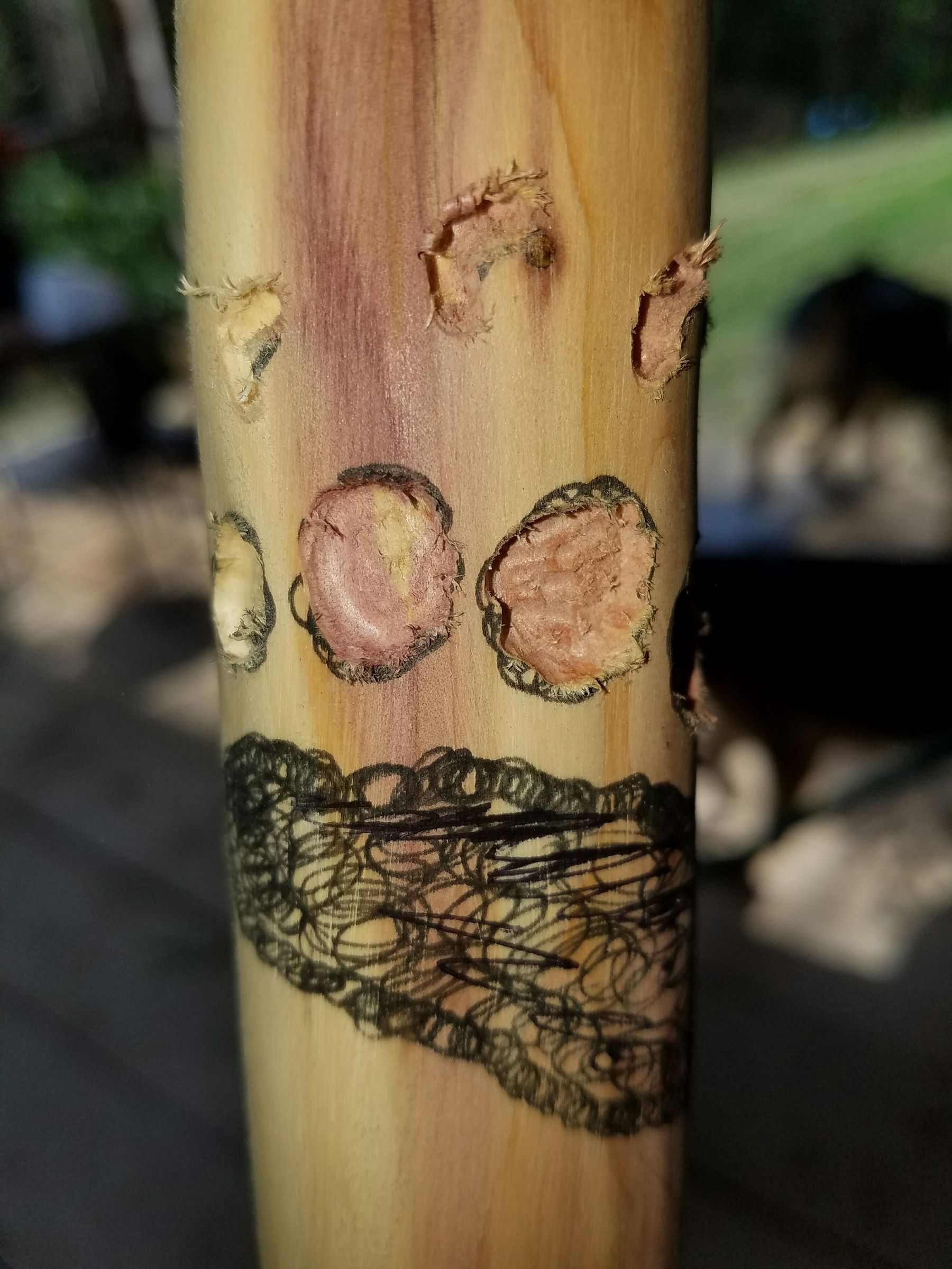 Turning Cedar Trees Into Walking Sticks : 12 Steps (with Pictures ...