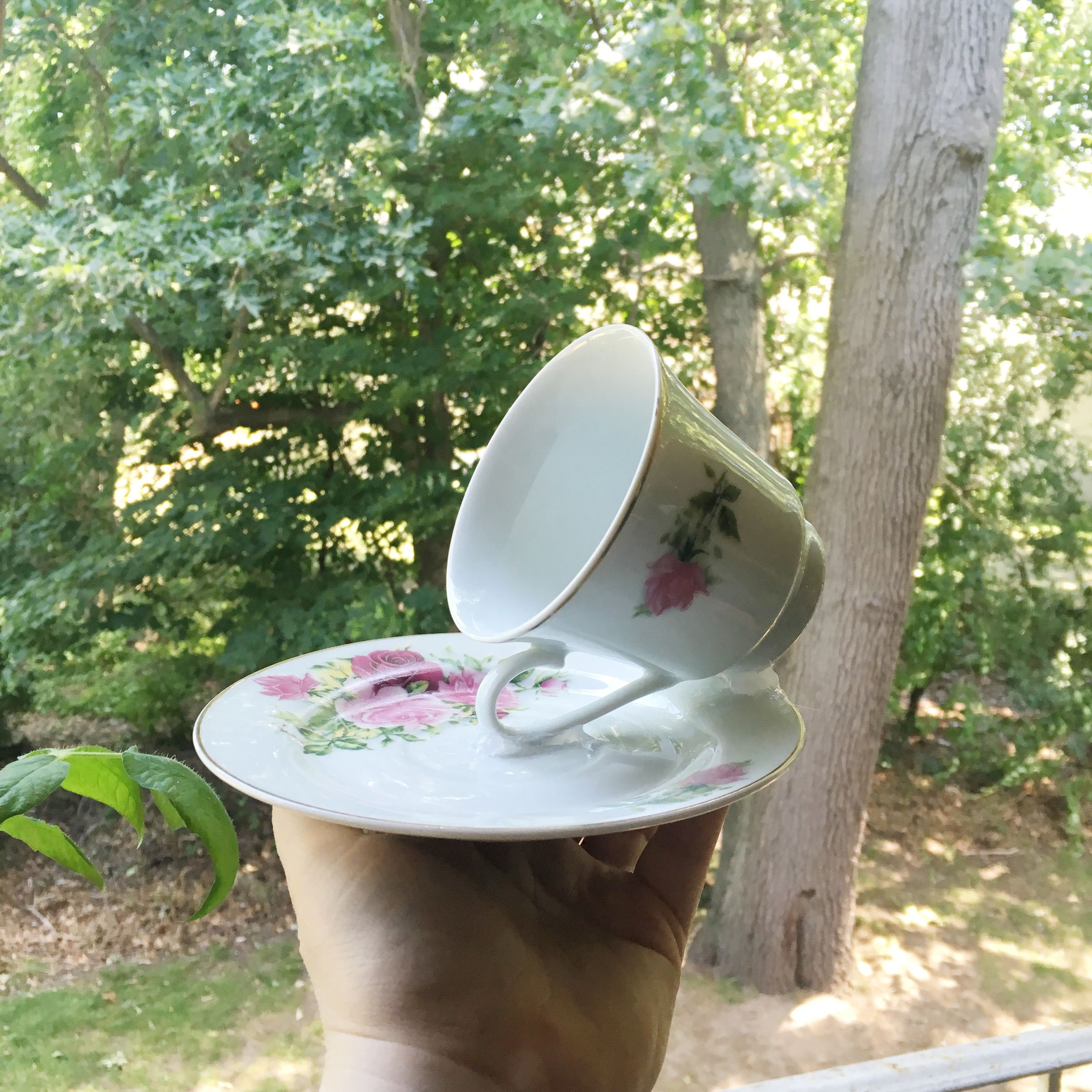 Tea Cup Bird Feeder : 6 Steps (with Pictures) - Instructables
