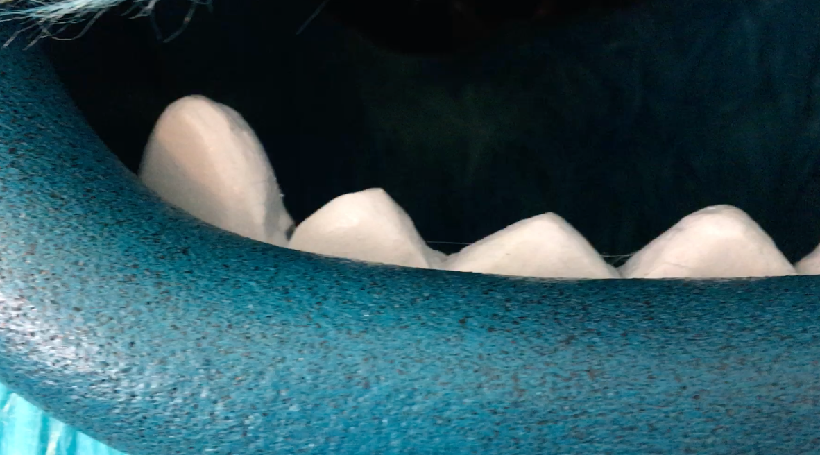 The Ultimate Sully Costume : 7 Steps (with Pictures) - Instructables