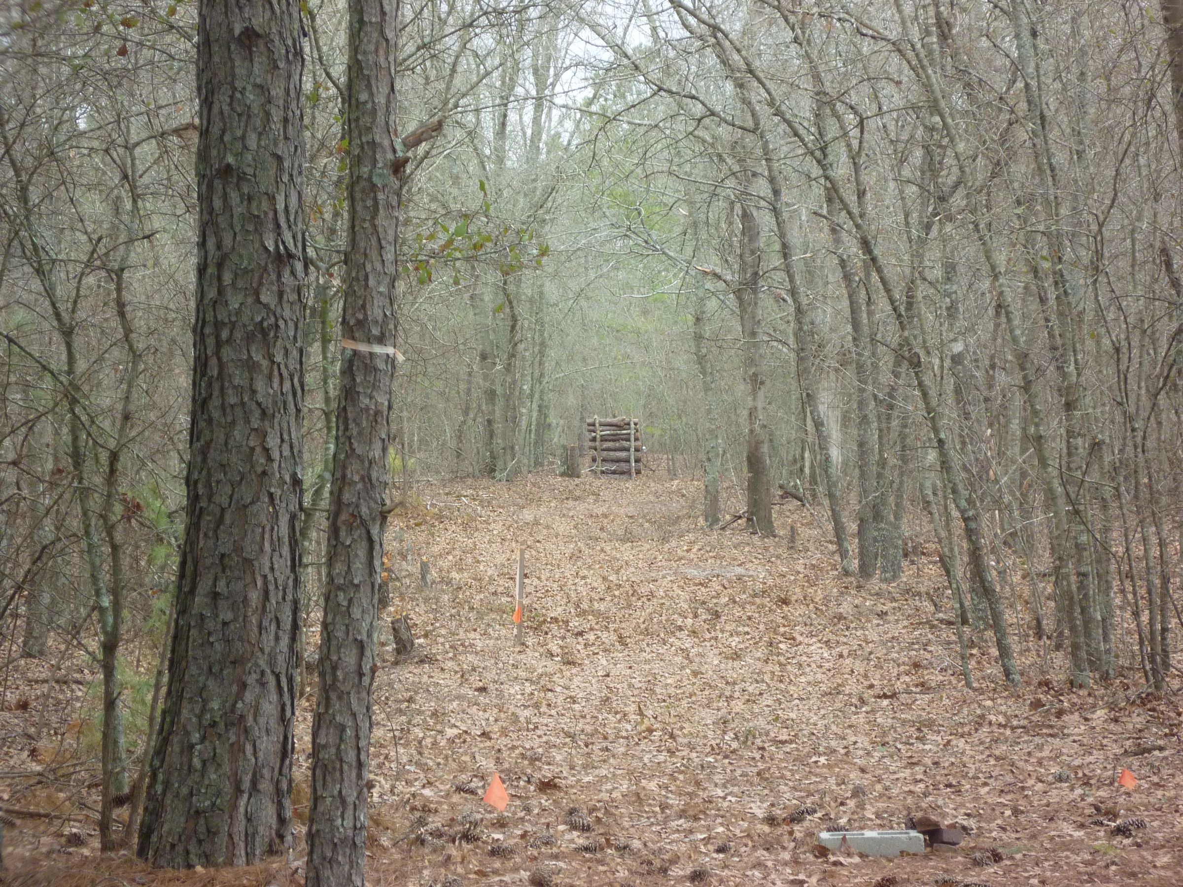 Homemade Log Shooting Back Stop