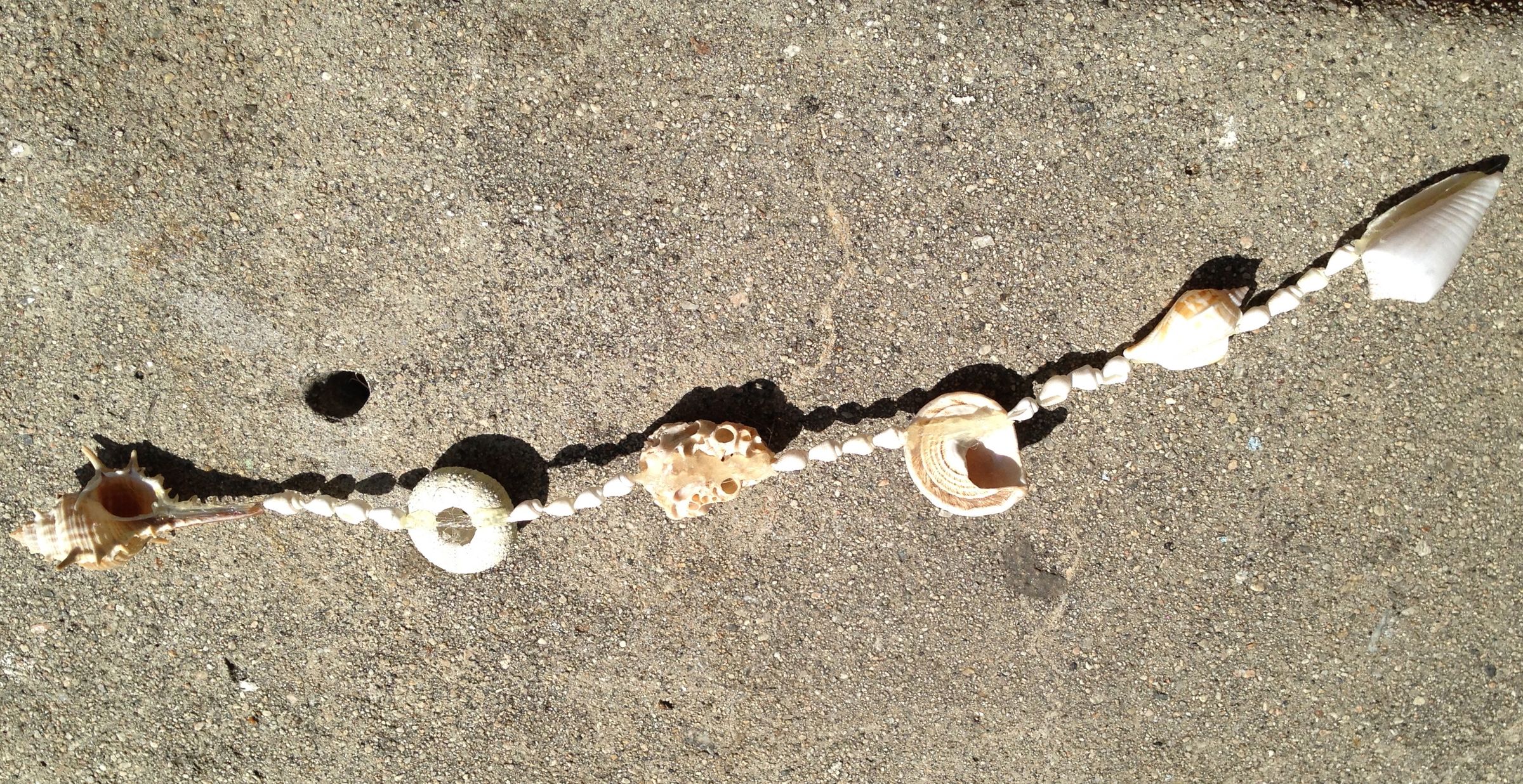 Sea Shell Mobile : 6 Steps - Instructables