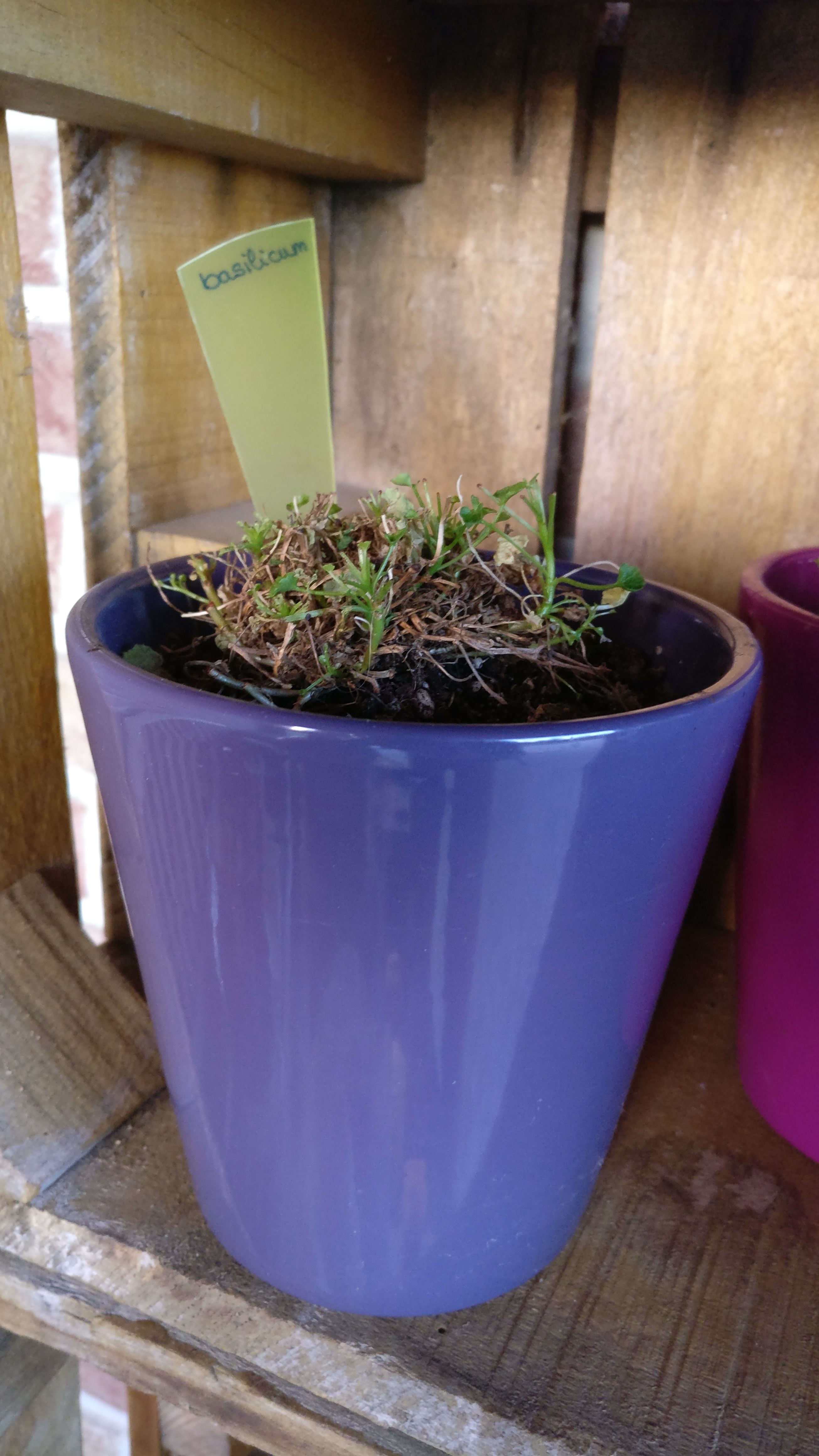 Roller Die Cutting Machine for Patternmaking : 25 Steps (with Pictures ...