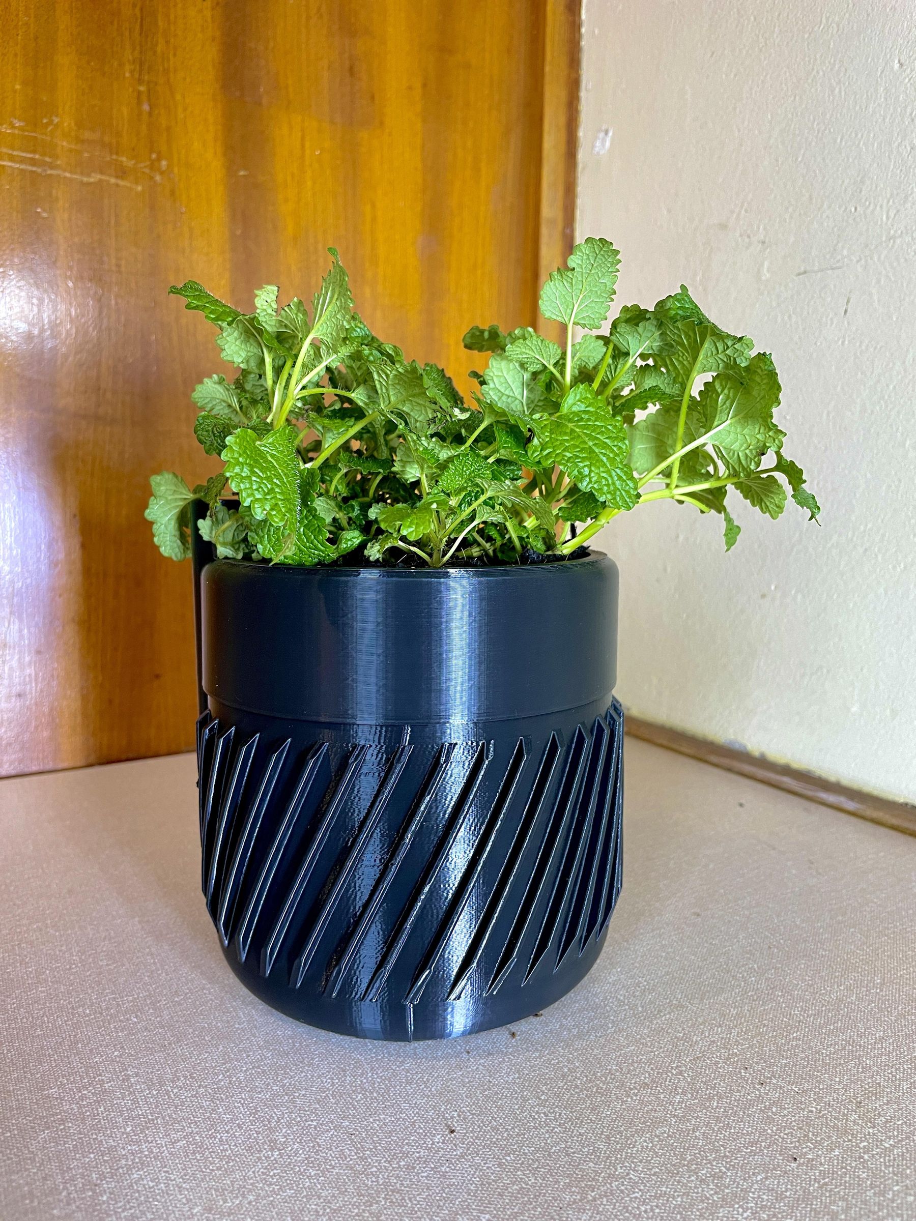 AI Self-Watering Plant Pot 🪴 : 11 Steps (with Pictures) - Instructables