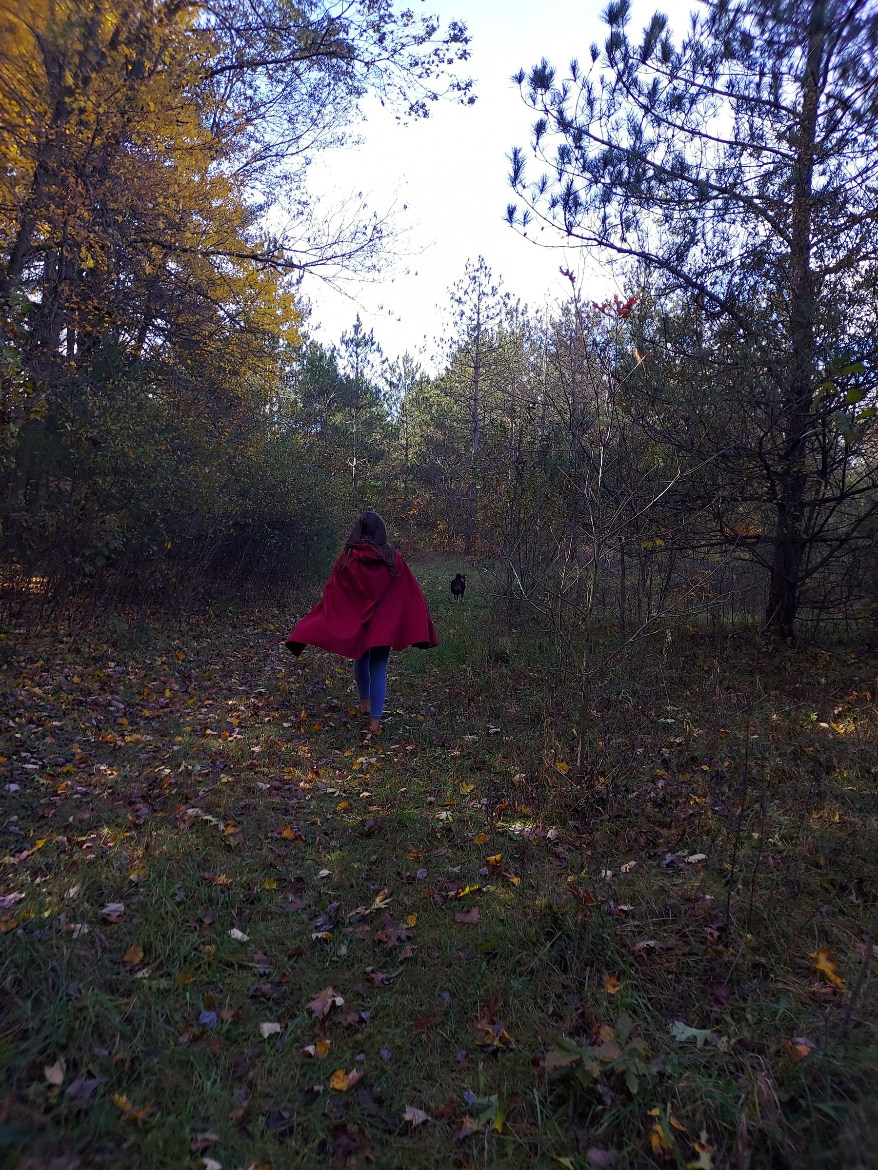 Mix & Match Cloak Types : 6 Steps - Instructables