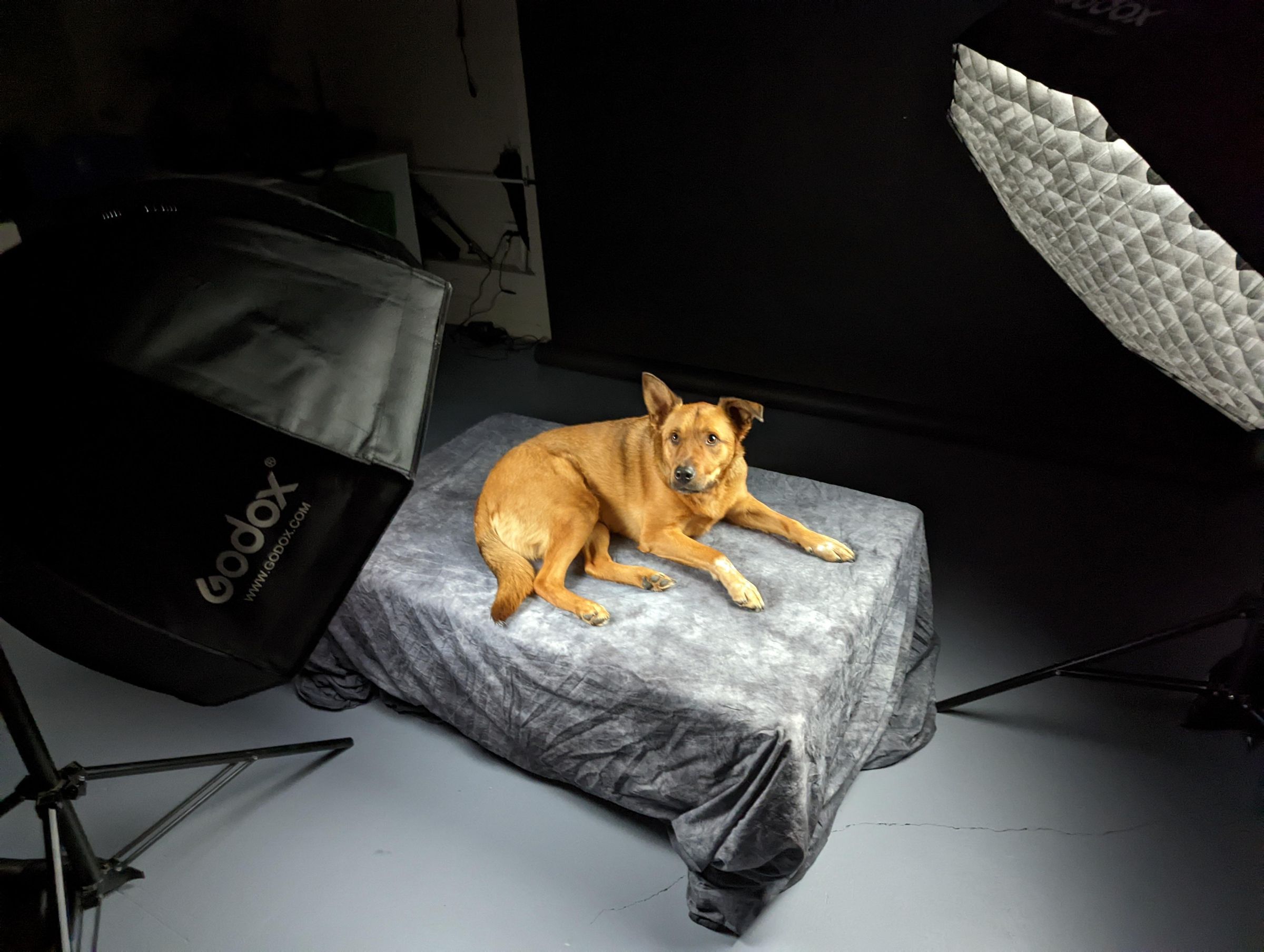 Changing the Shape of Catch Lights in Photography : 7 Steps (with ...