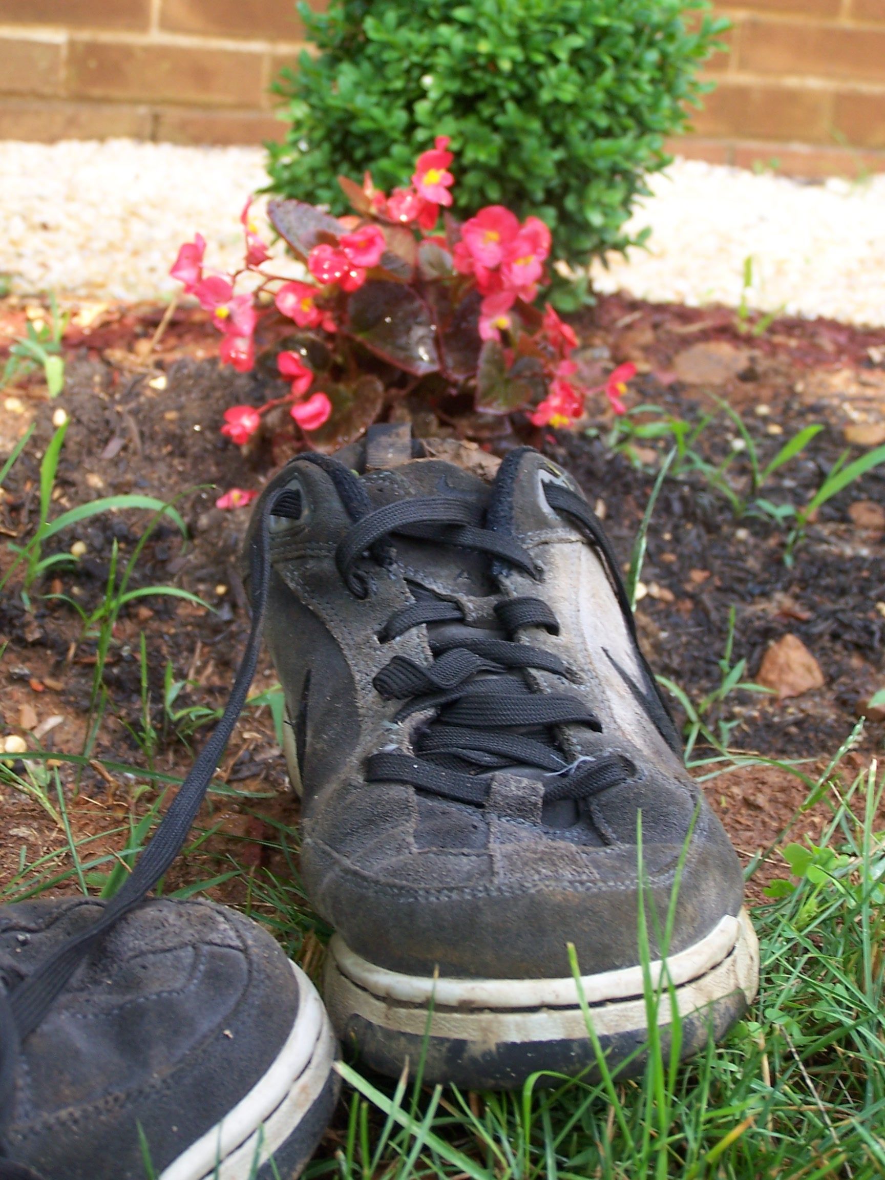 Shoeflower! : 4 Steps (with Pictures) - Instructables