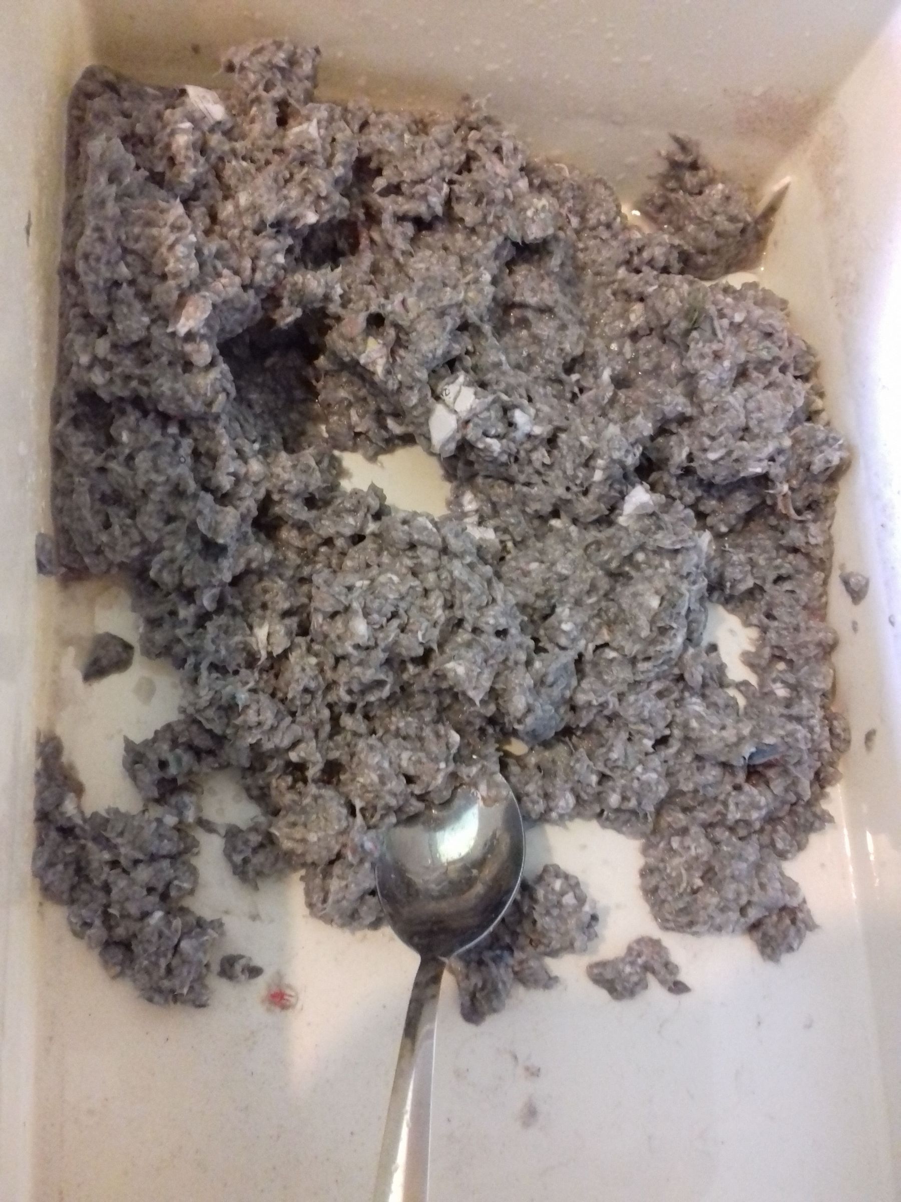 Earth-friendly Creating With Papercrete : 6 Steps (with Pictures ...