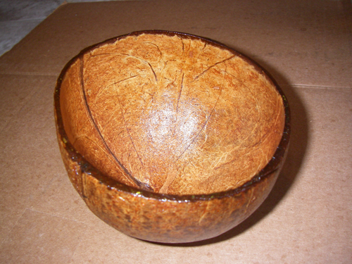 How to Recycle a Coconut Shell Into a Bowl : 6 Steps (with Pictures ...
