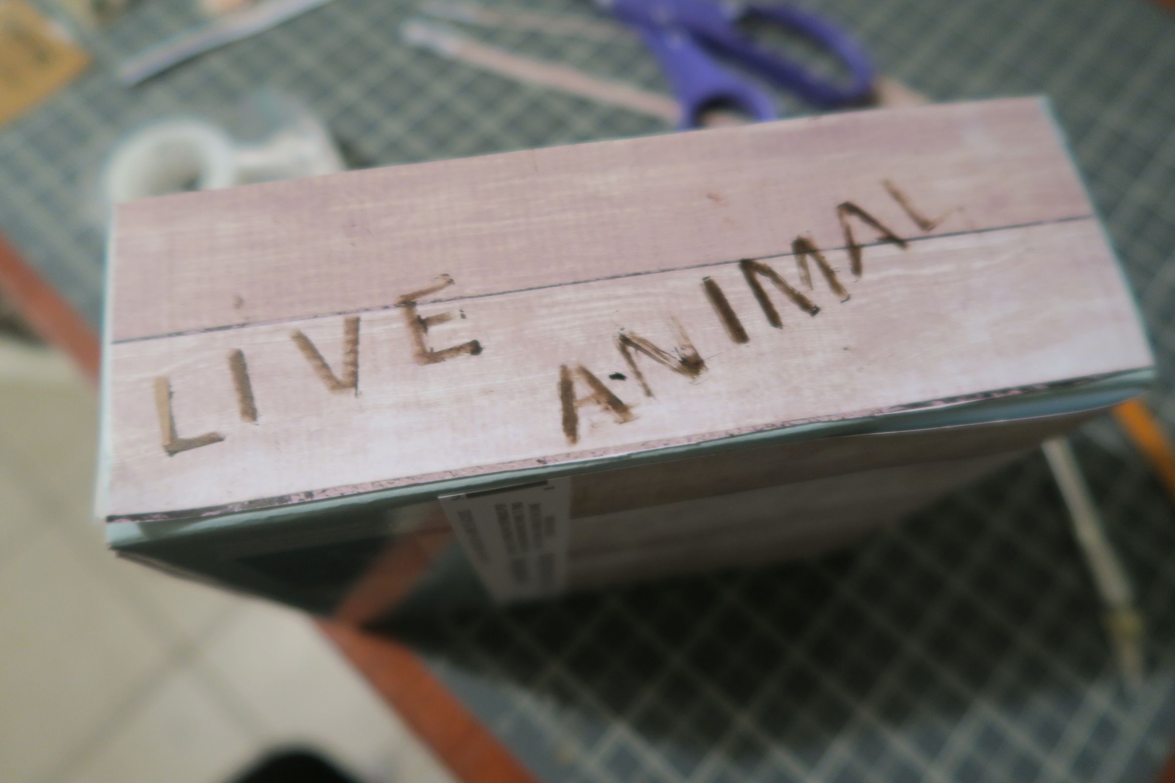 Curiosity Carnival Crates : 10 Steps (with Pictures) - Instructables