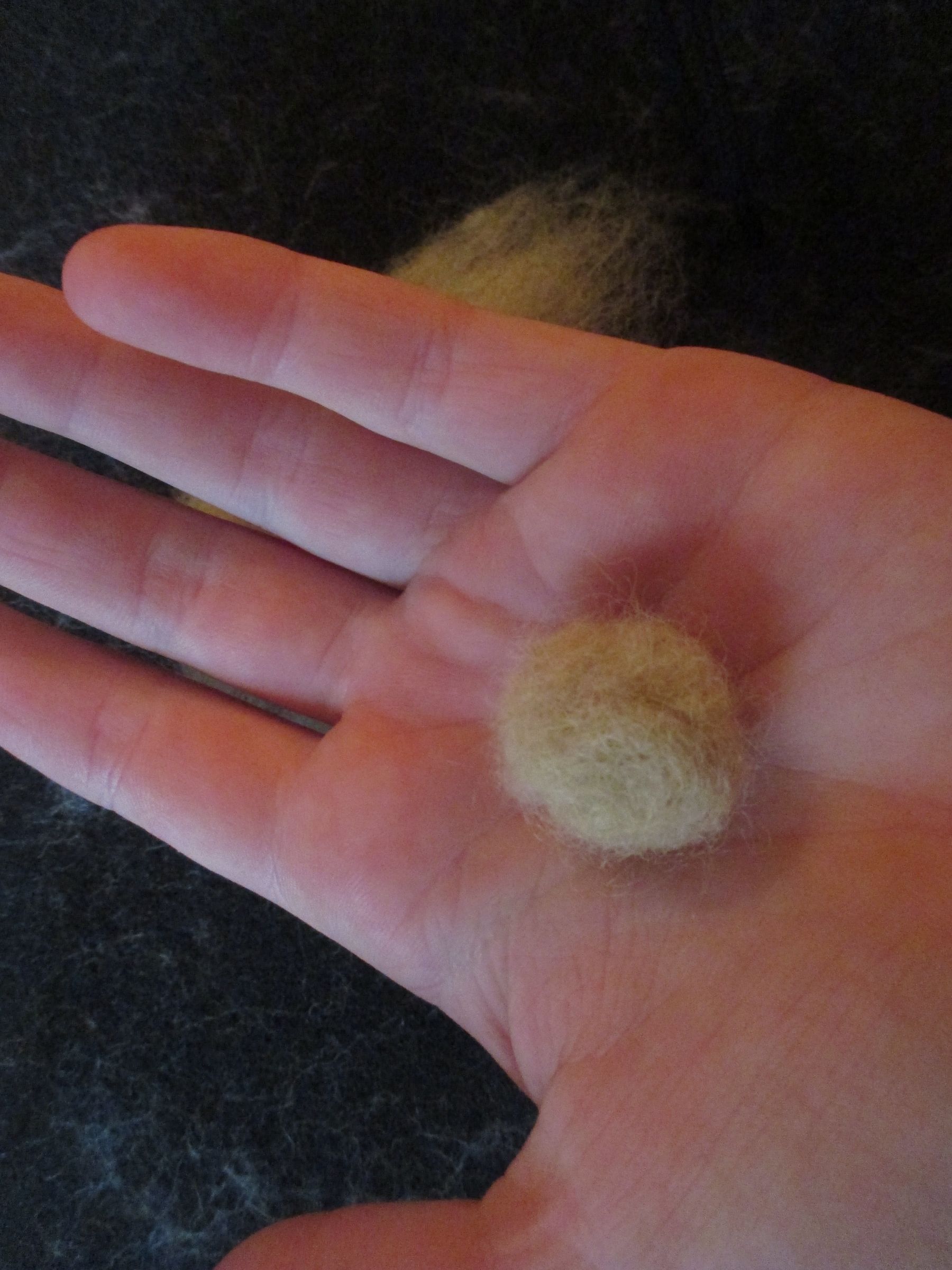 Tiny Needle Felted Dog : 6 Steps (with Pictures) - Instructables