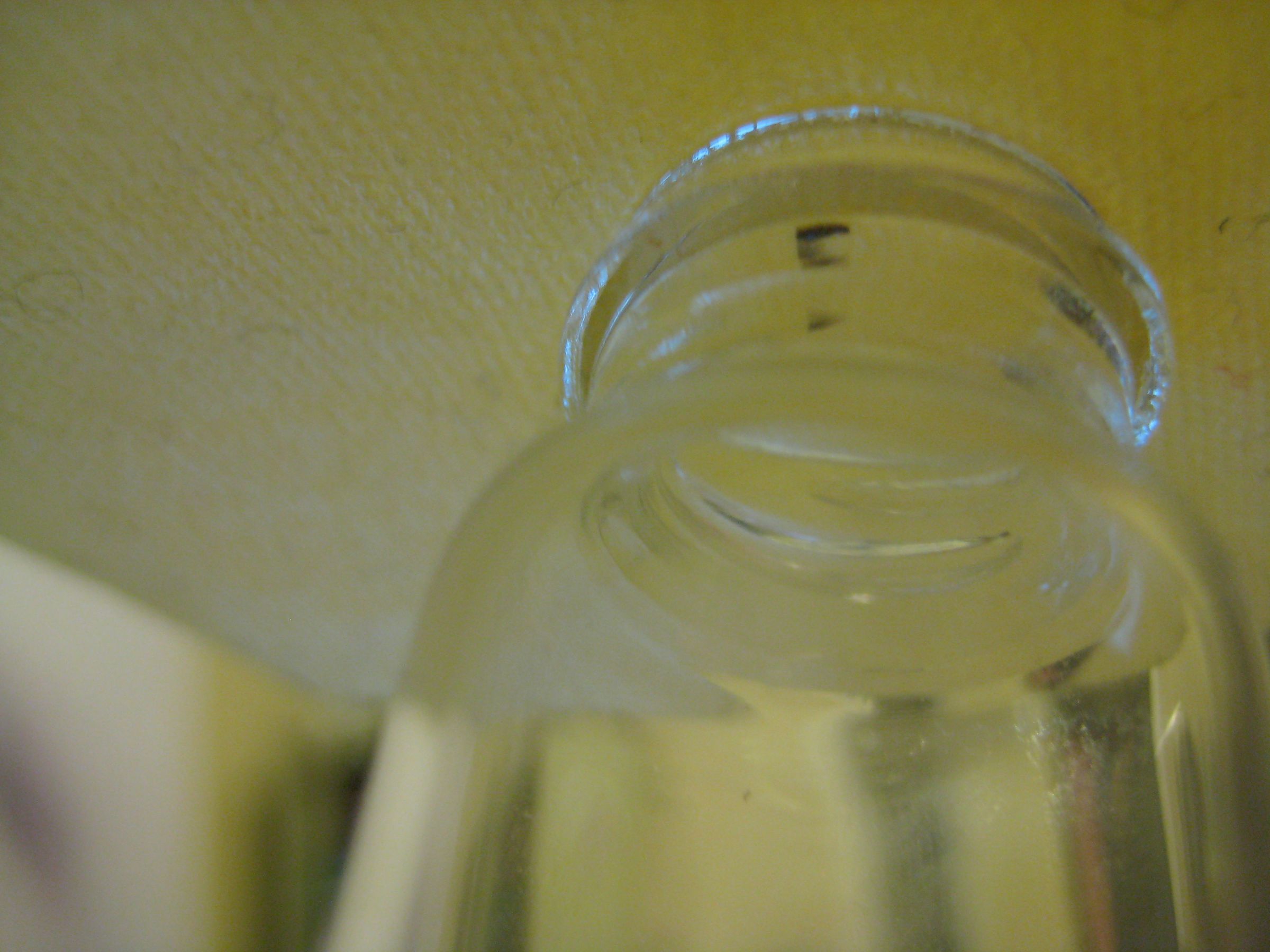 How to Catch Fleas : 7 Steps - Instructables