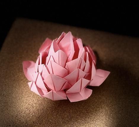 Water Lily Paper Art : 5 Steps (with Pictures) - Instructables