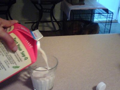 Maple Milk : 3 Steps - Instructables
