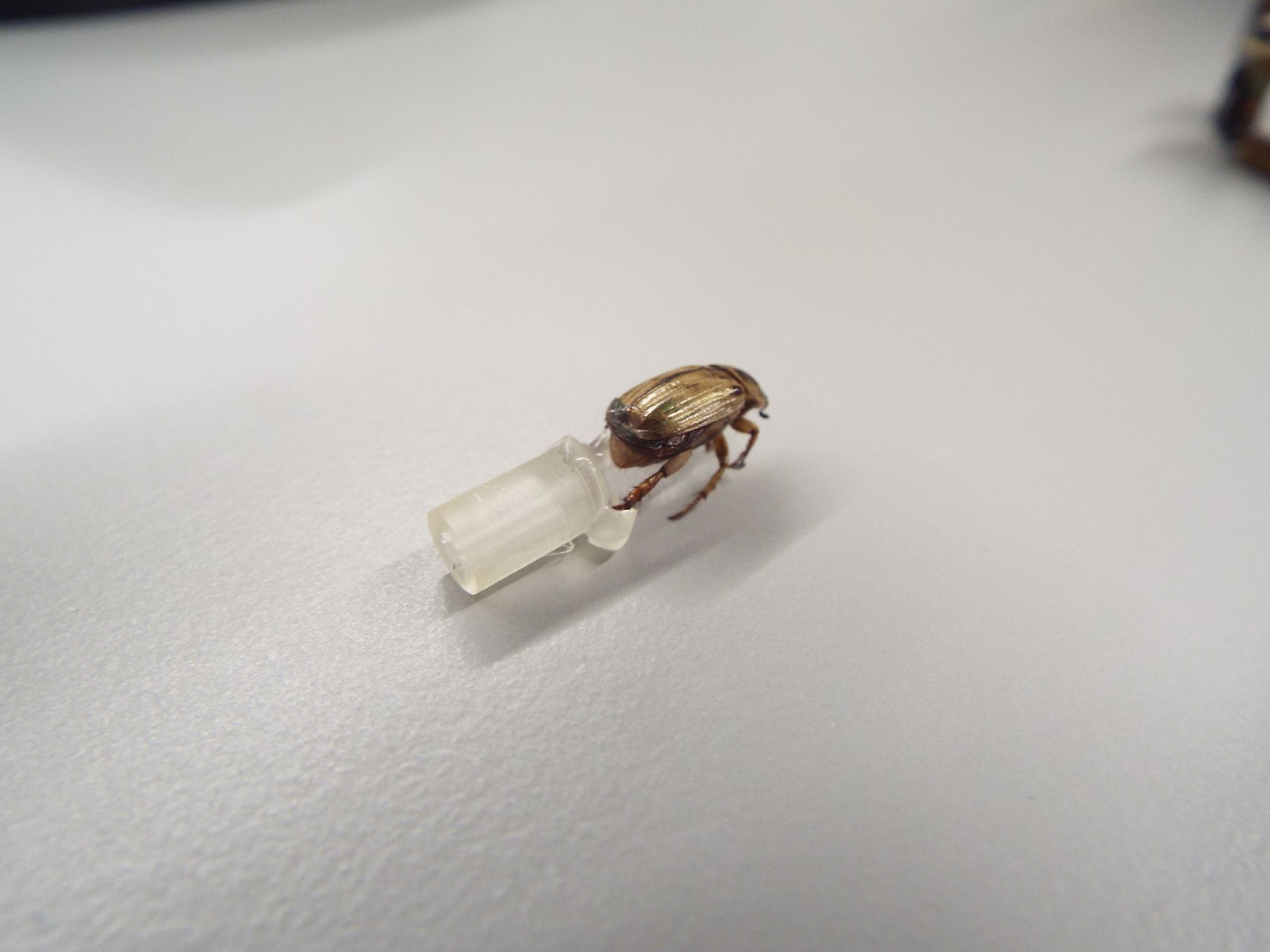 LadyBug: a Motorized Microscope and 3D Scanner for Very Small Things ...