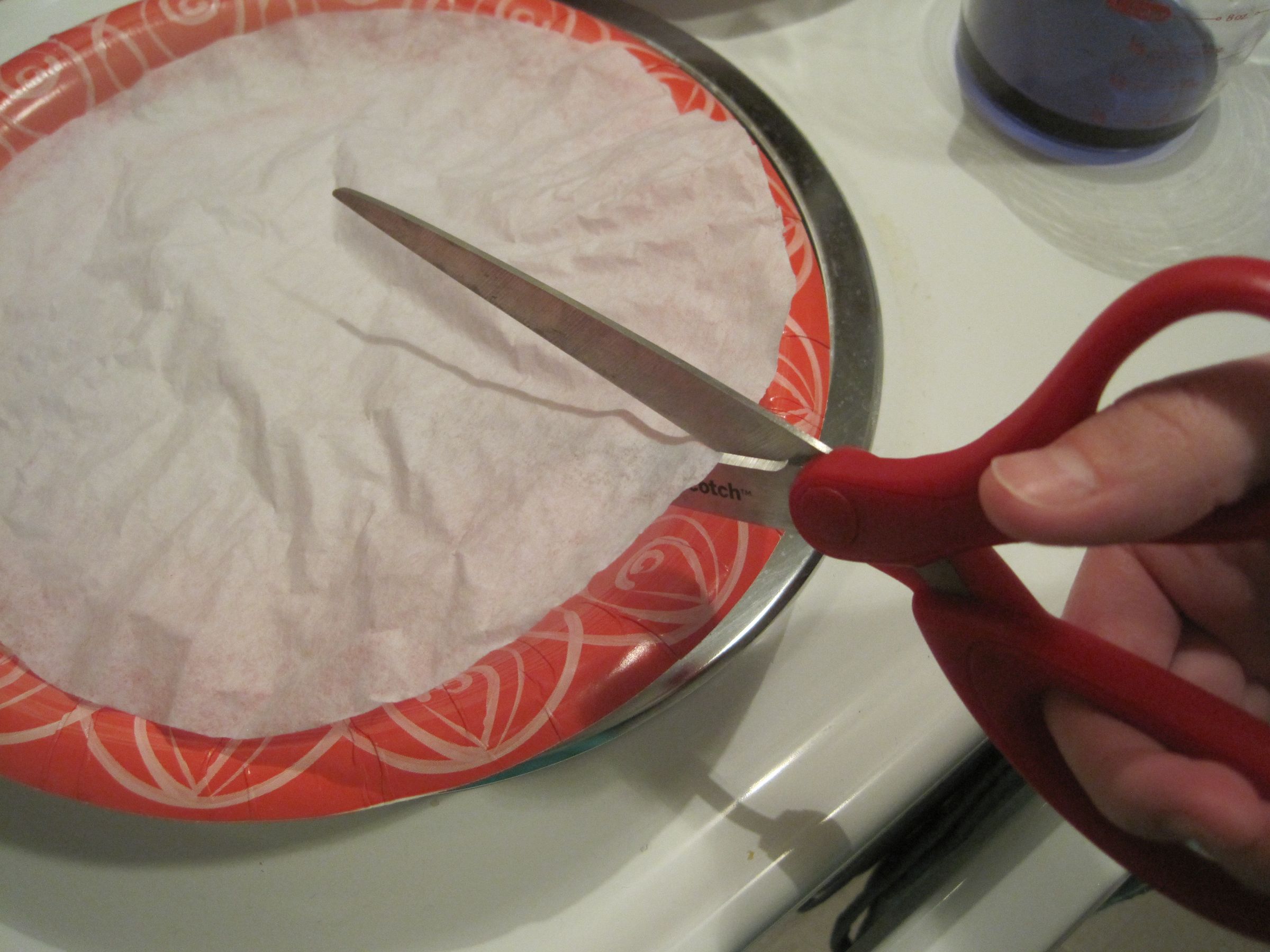 Red Cabbage PH Indicator : 14 Steps - Instructables