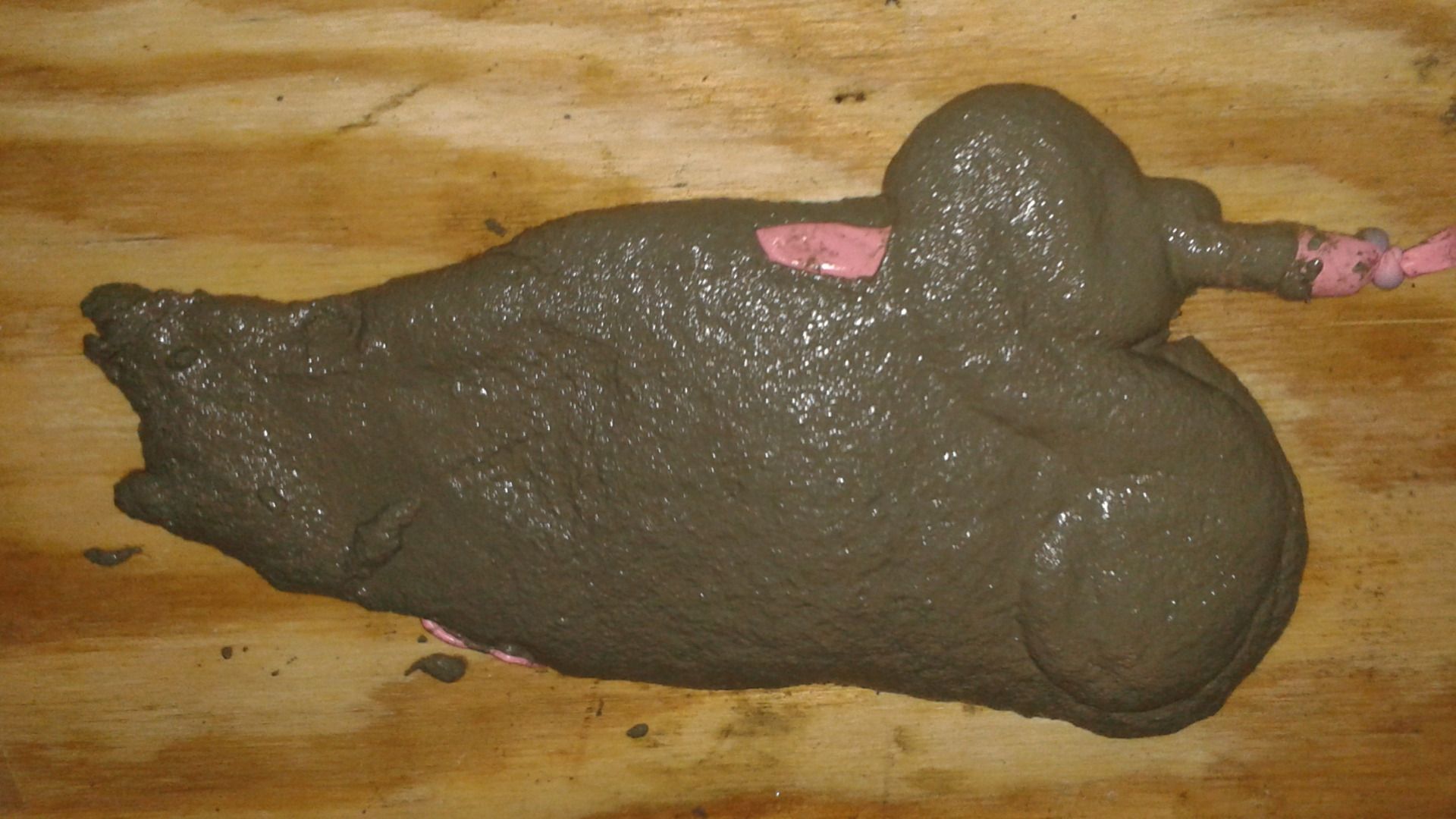 Casting Concrete in Balloons : 4 Steps (with Pictures) - Instructables