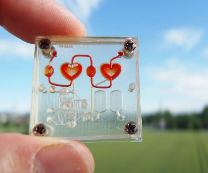 Pulsing Fluidic Heart Micropump : 6 Steps (with Pictures) - Instructables