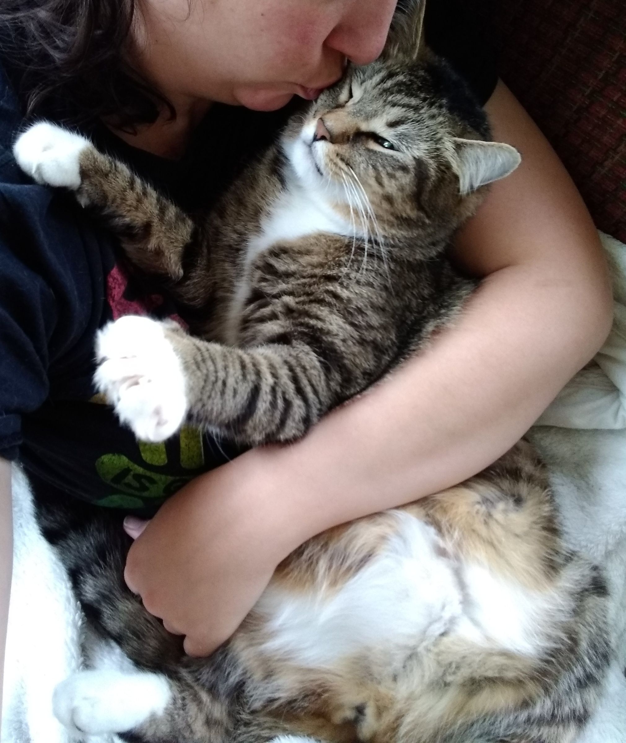 How To: Lull Your Cat to Sleep : 14 Steps (with Pictures) - Instructables