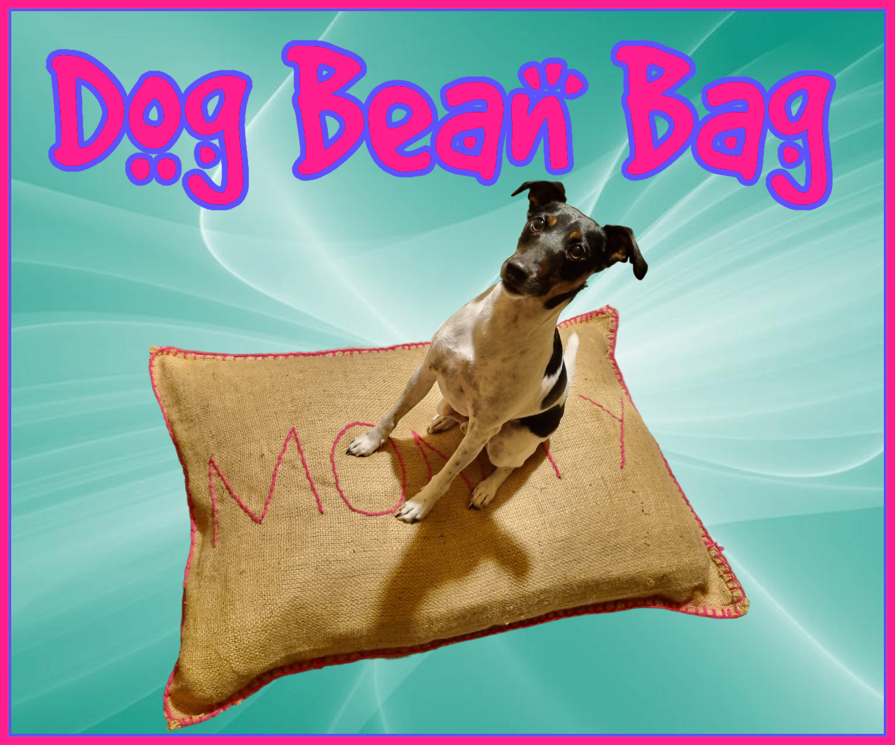 Dog Bean Bag From Recycled Materials : 4 Steps (with Pictures ...
