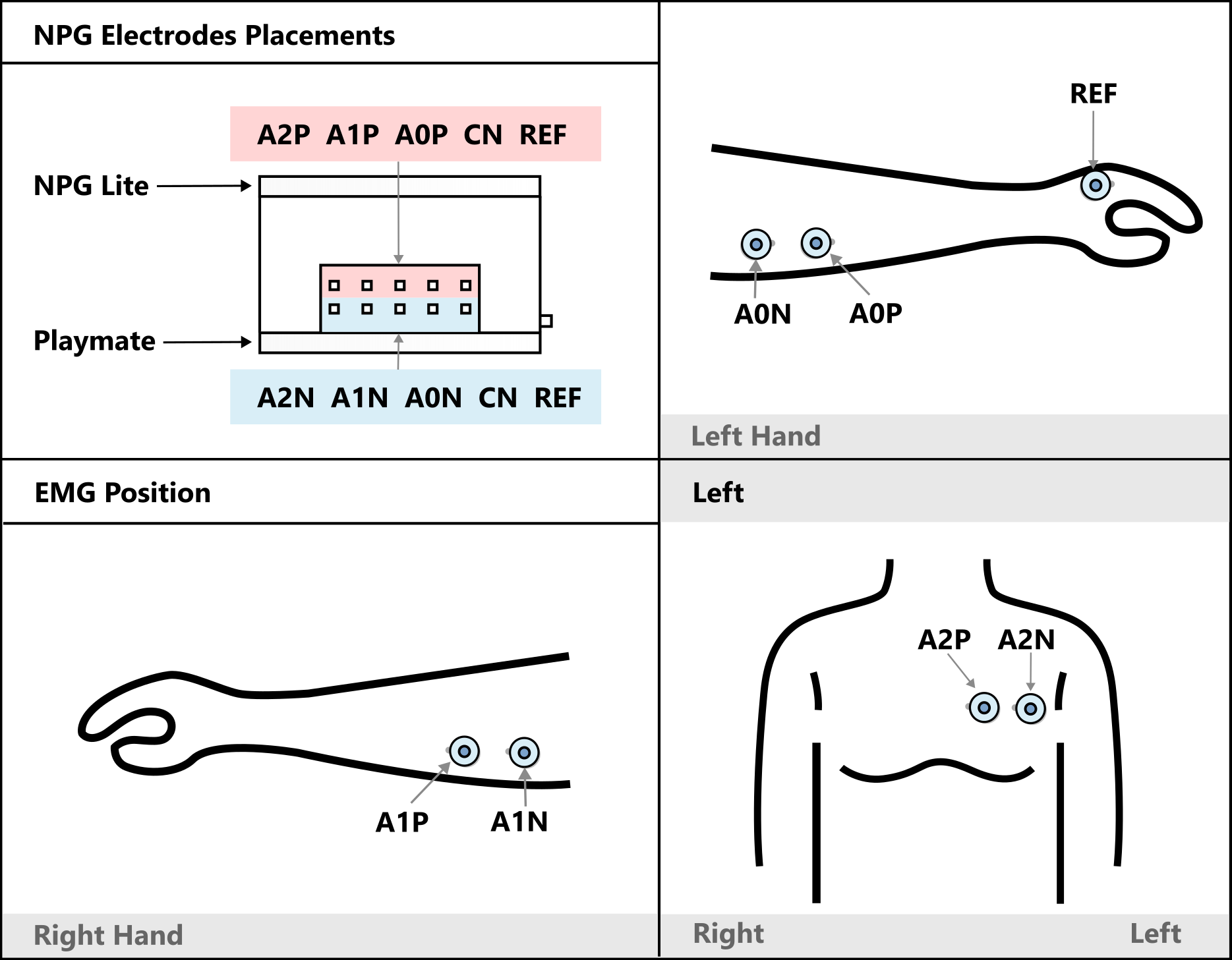 Muscle Melody: Create Music With Your Muscle Movements (EMG) : 7 Steps ...