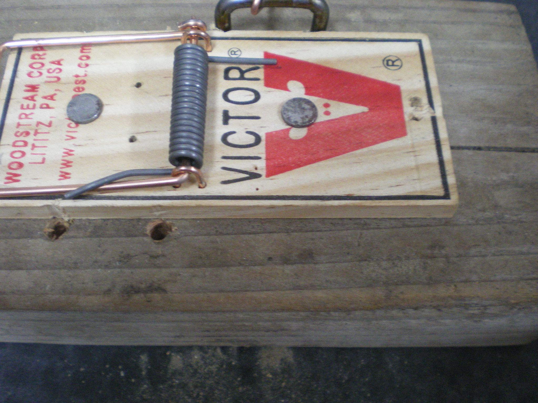 Airsoft Mousetrap Claymore : 9 Steps - Instructables