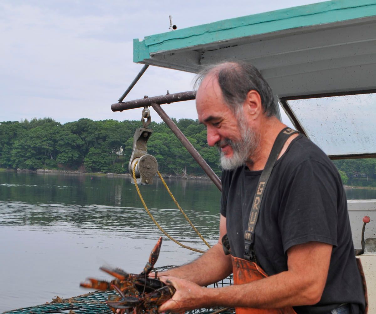 How to Lobster : 8 Steps (with Pictures) - Instructables