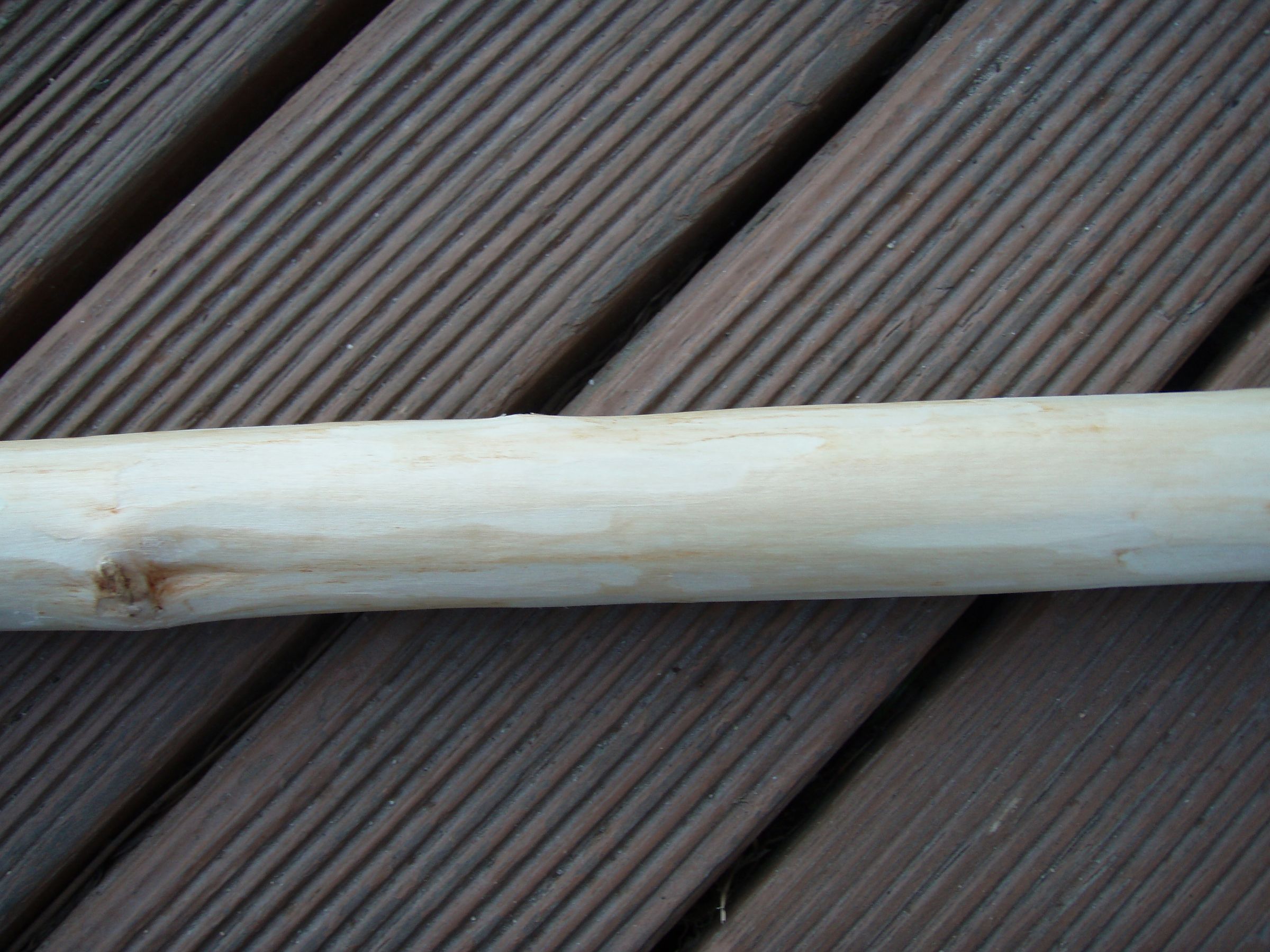 Whittling Walking Sticks