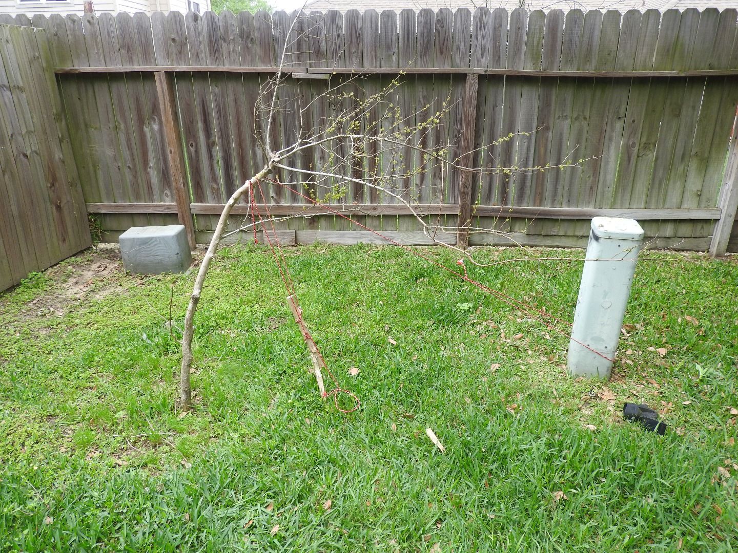 Survival Snare : 3 Steps - Instructables