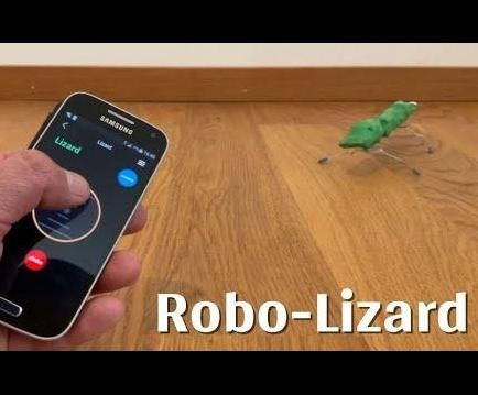 Robo-Lizard : 8 Steps (with Pictures) - Instructables