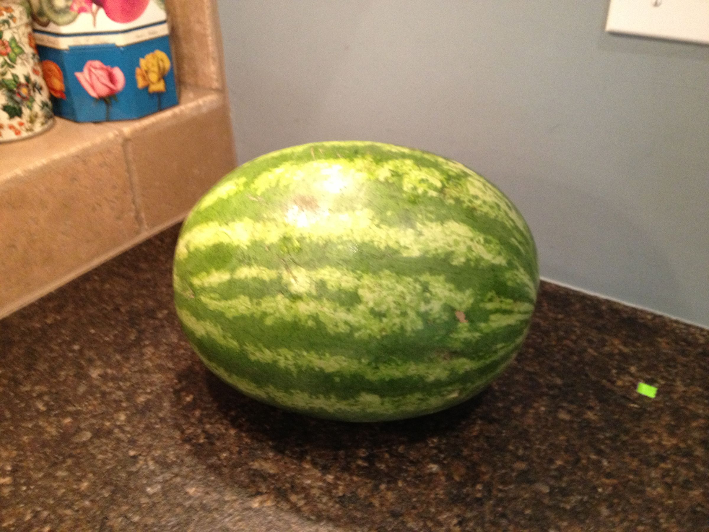 Watermelon Brain : 6 Steps (with Pictures) - Instructables