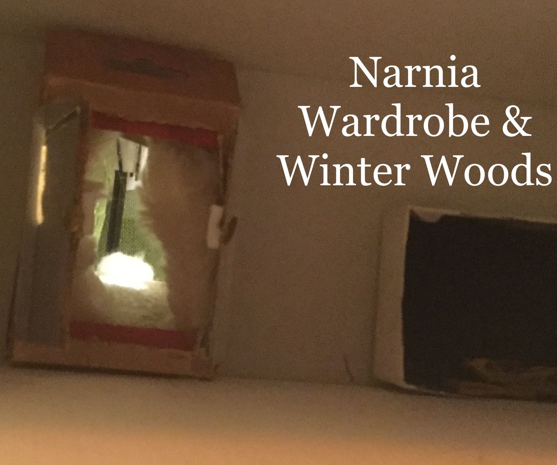 Narnia Wardrobe & Winter Woods Diorama : 10 Steps - Instructables