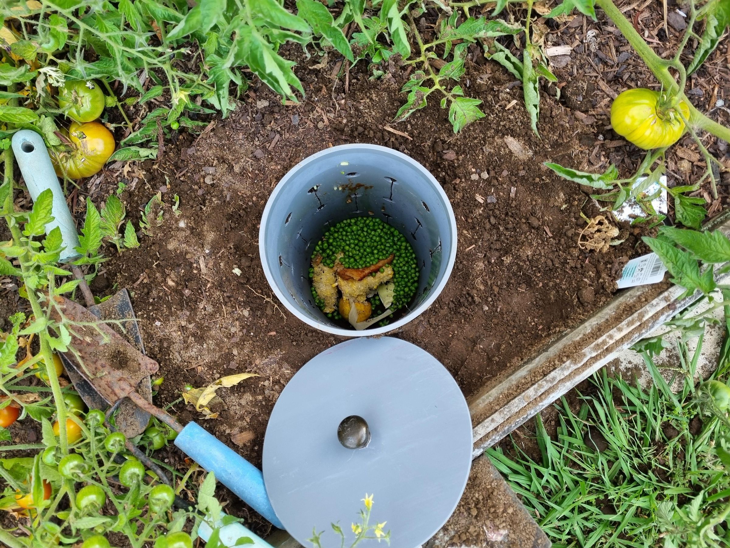 Worm Buffet : 10 Steps (with Pictures) - Instructables