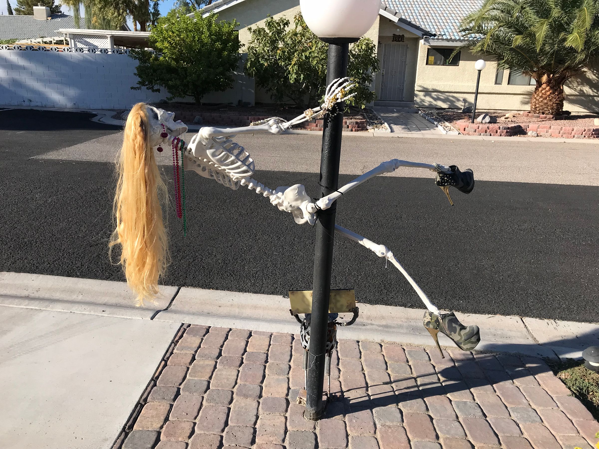 Skeleton Stripper : 4 Steps - Instructables